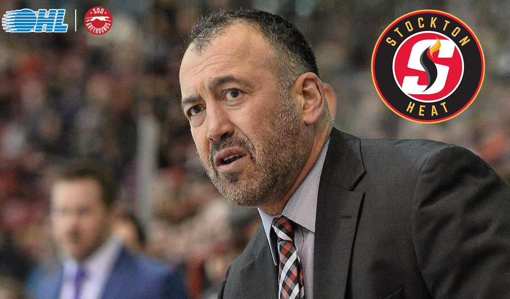 Joe Cirella named assistant coach of AHL's Stockton Heat - Ontario ...