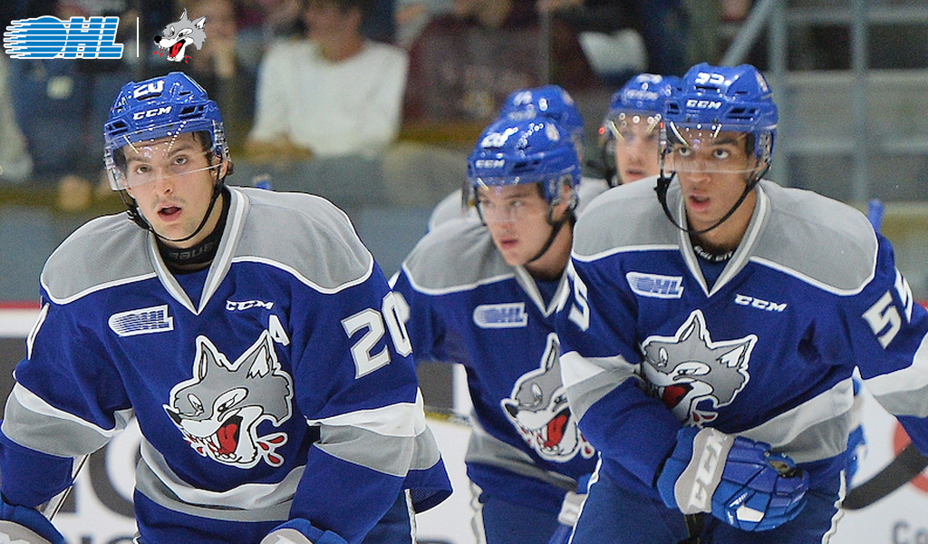 Strength of the Pack sets up Wolves early season success - Ontario ...