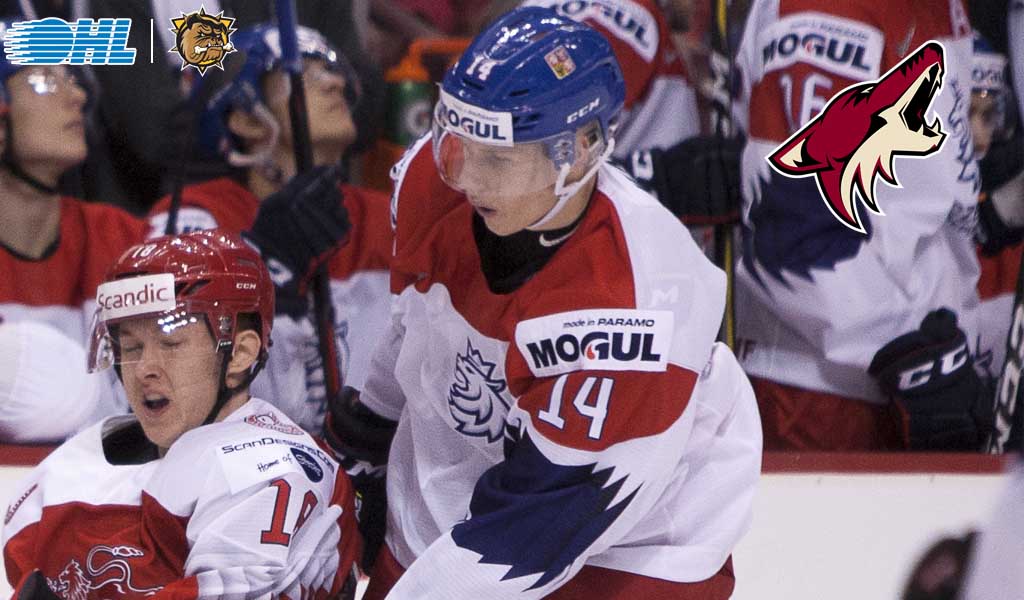 Coyotes prospect Jan Jenik commits to Bulldogs - Ontario Hockey League