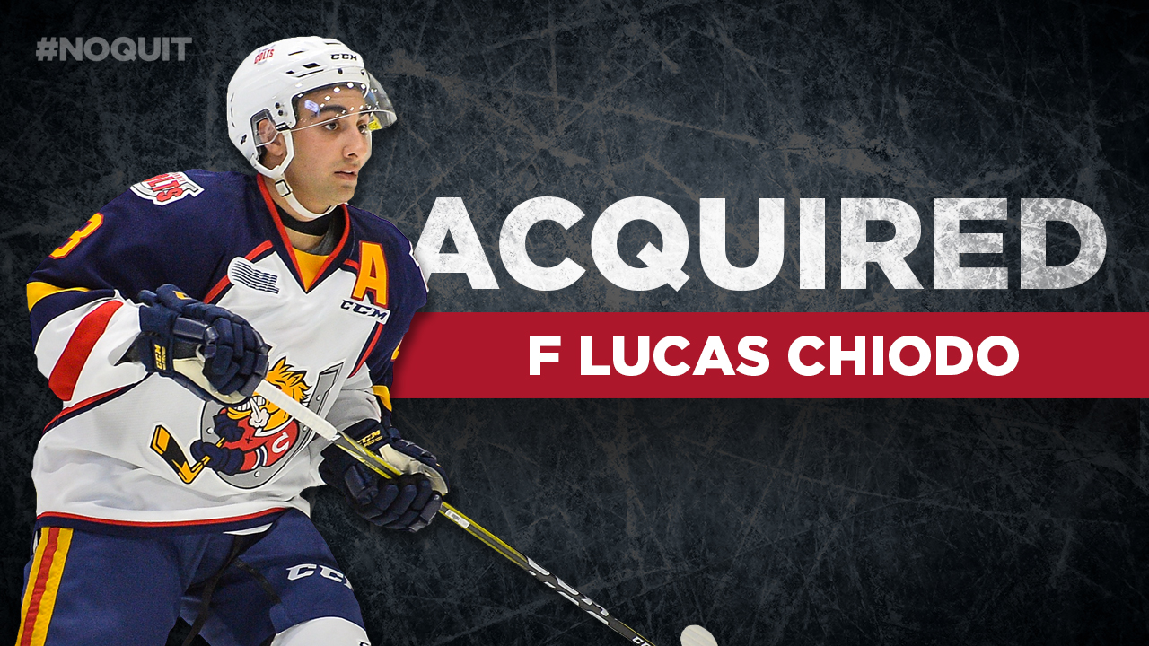 67’s acquire Chiodo from Barrie - Ottawa 67s