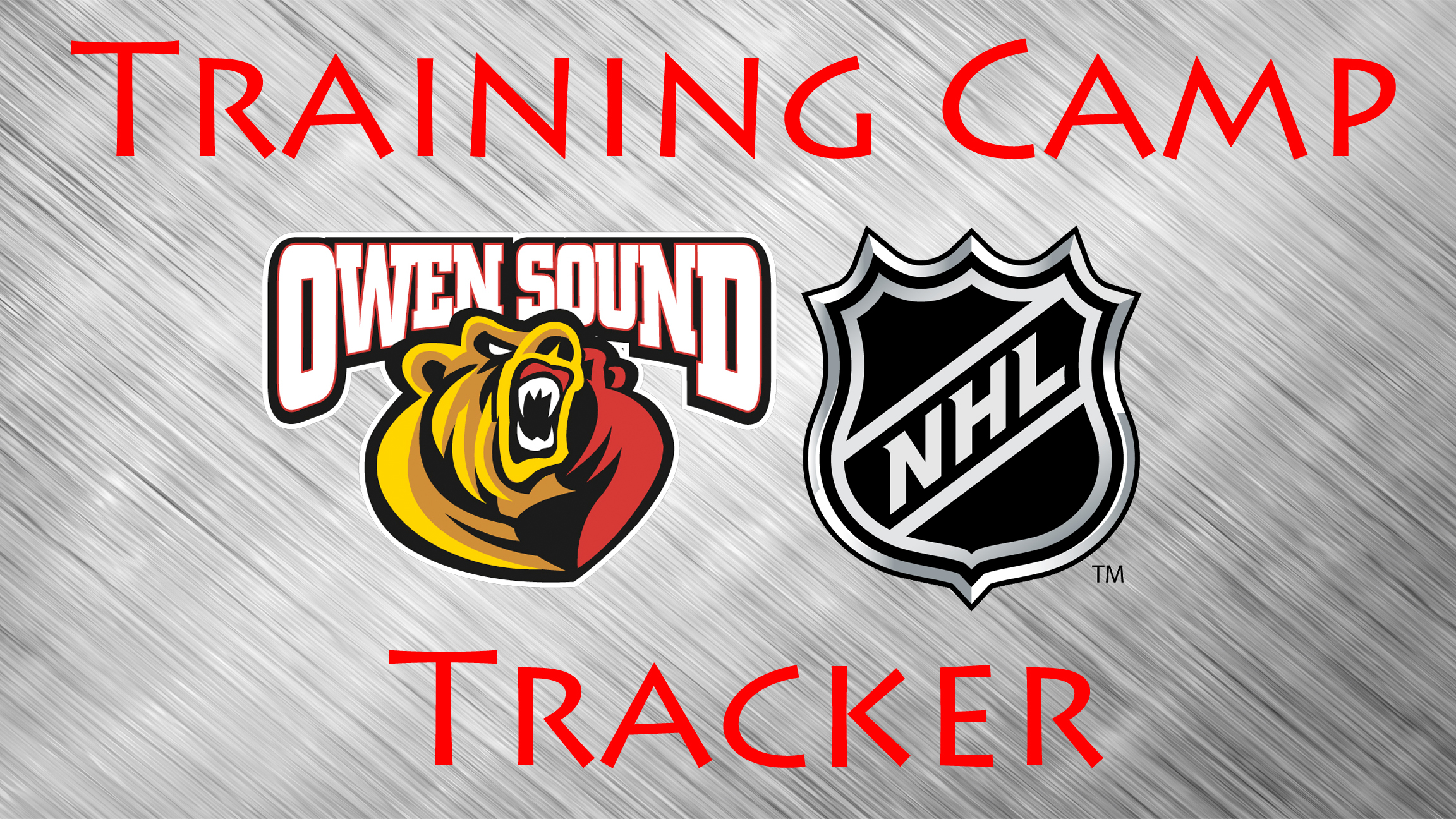 Attack send 7 to pro camps - Owen Sound Attack