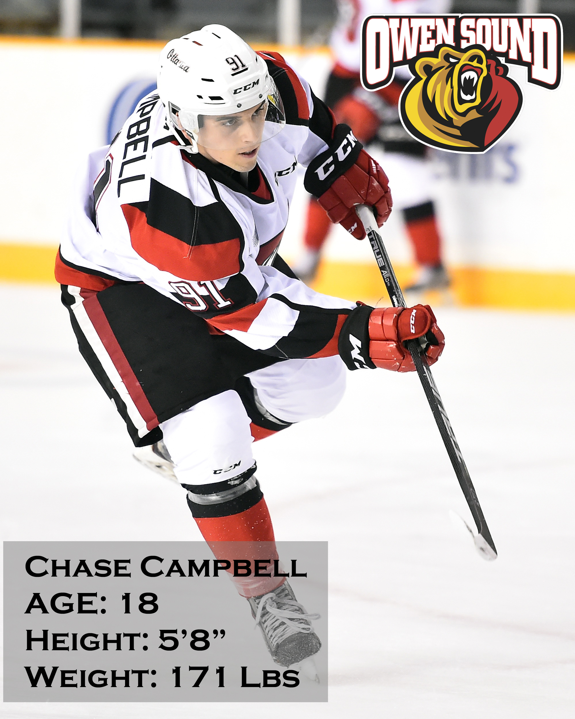 Attack acquire Chase Campbell from Ottawa - Owen Sound Attack