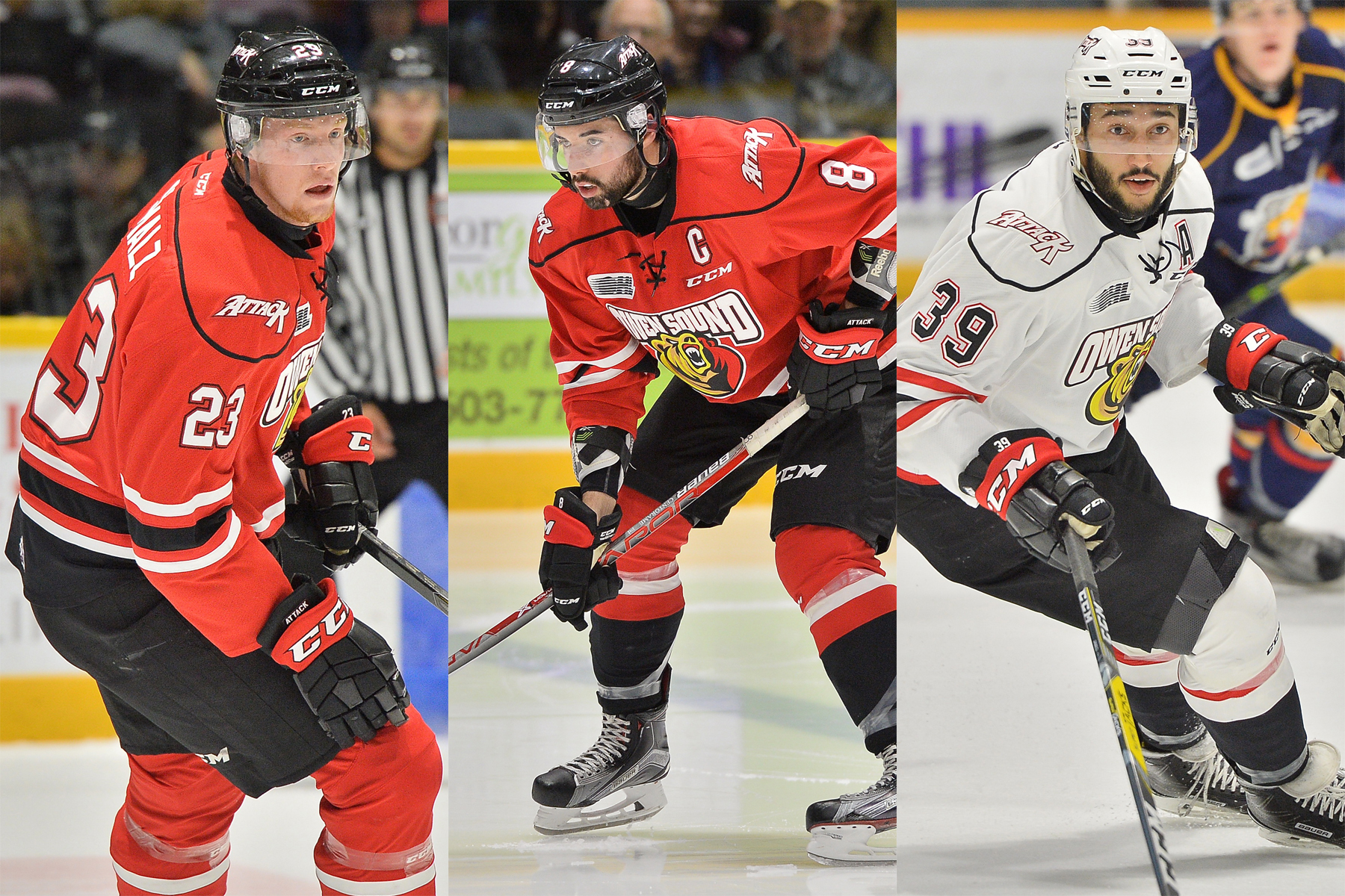 Season End Interviews: Overage Players Say Goodbye - Owen Sound Attack