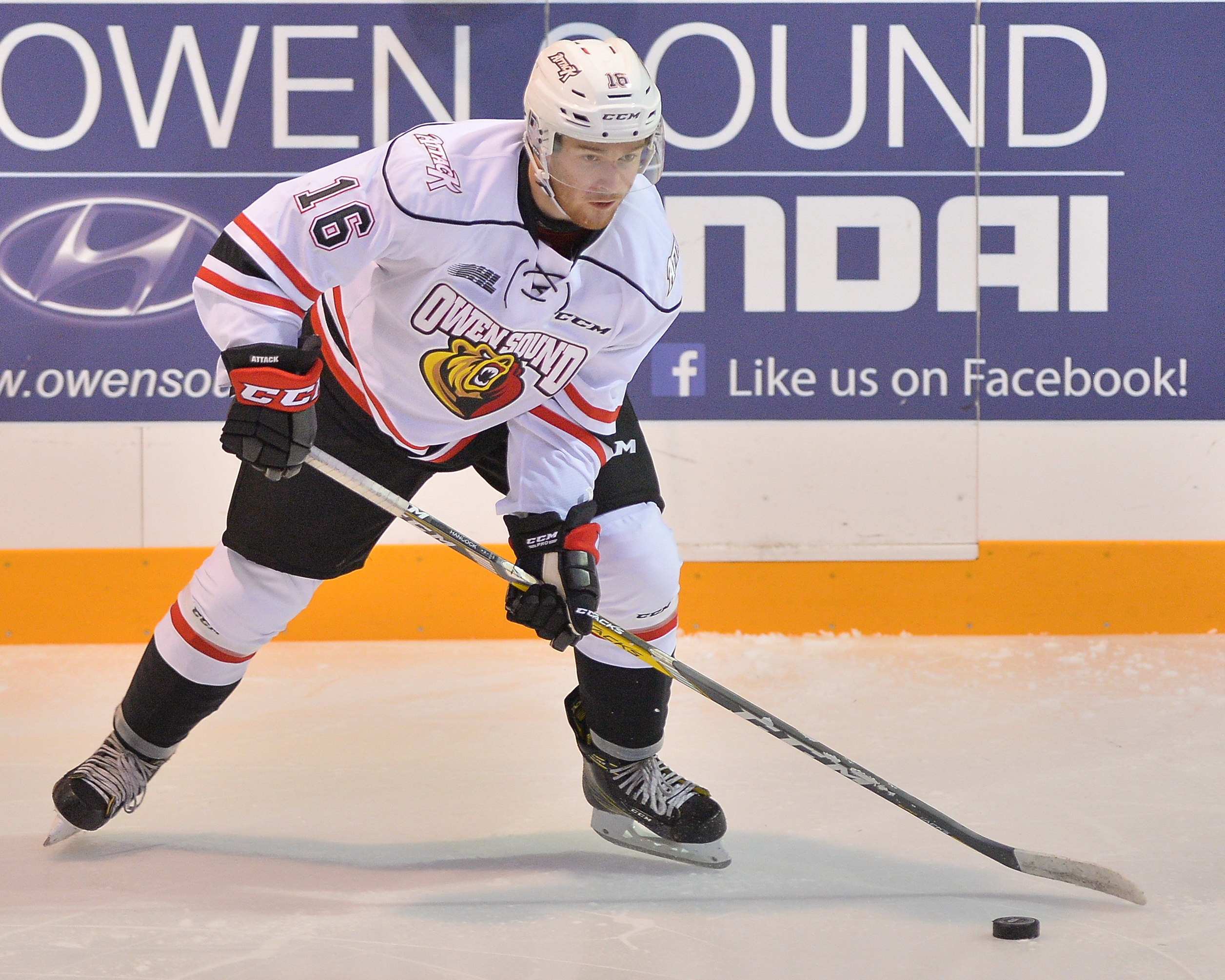 Attack come fall flat against Sting - Owen Sound Attack