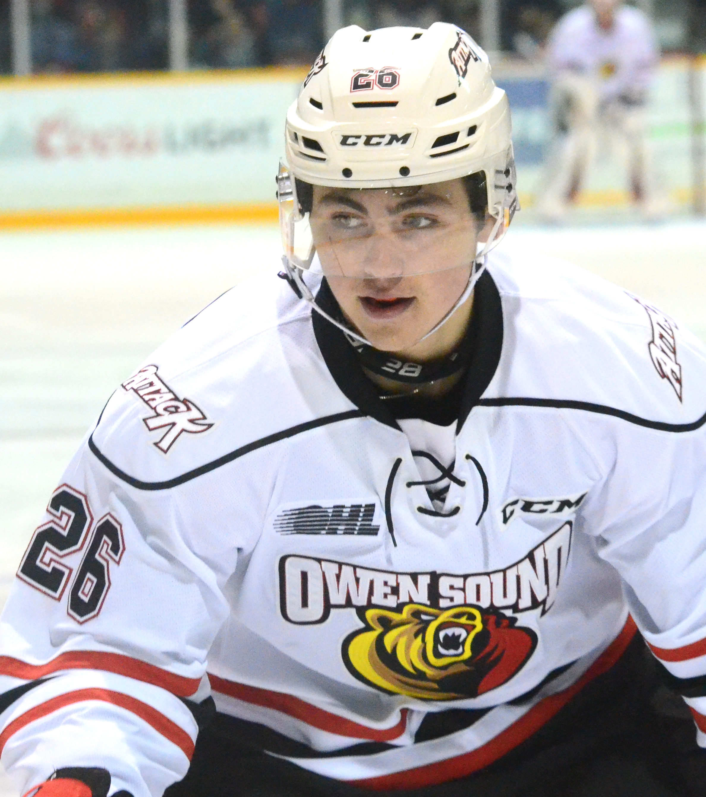 THE BEARS STING THE BEES AGAIN, 6-1 THE FINAL - Owen Sound Attack