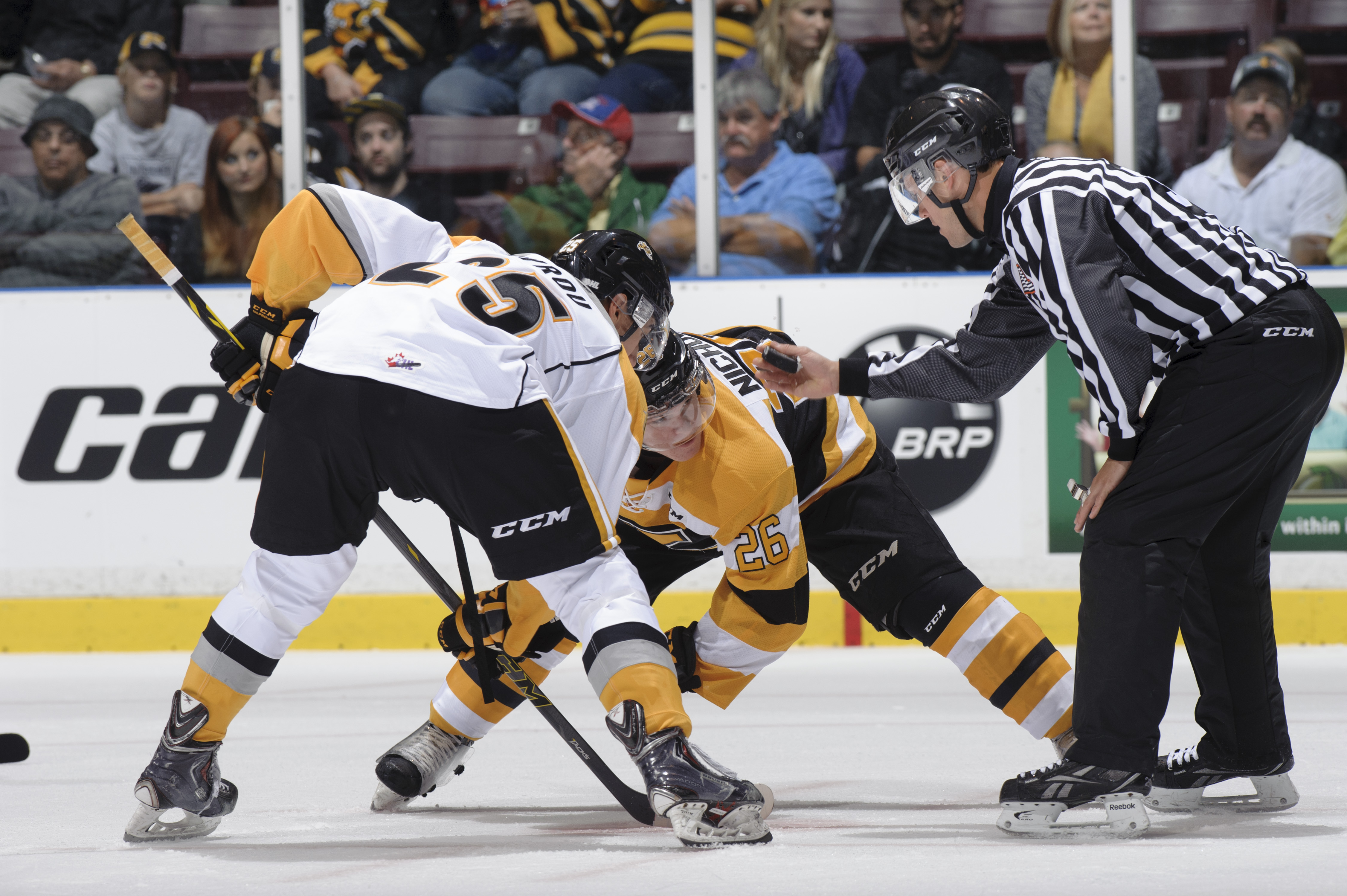 Preview: Eastern Road Trip - Sarnia Sting