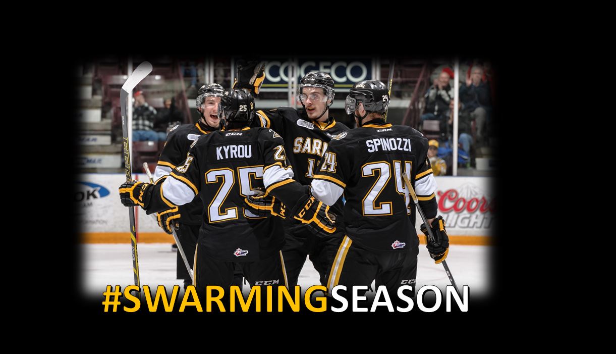 Series Preview: Sting vs. Otters - Sarnia Sting