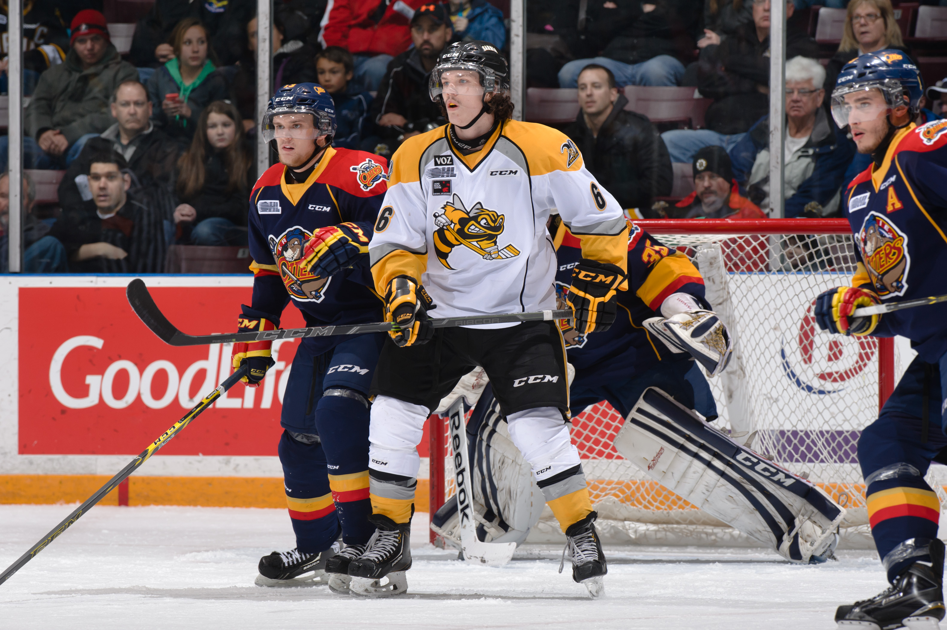 Sting fall to Erie at home - Sarnia Sting