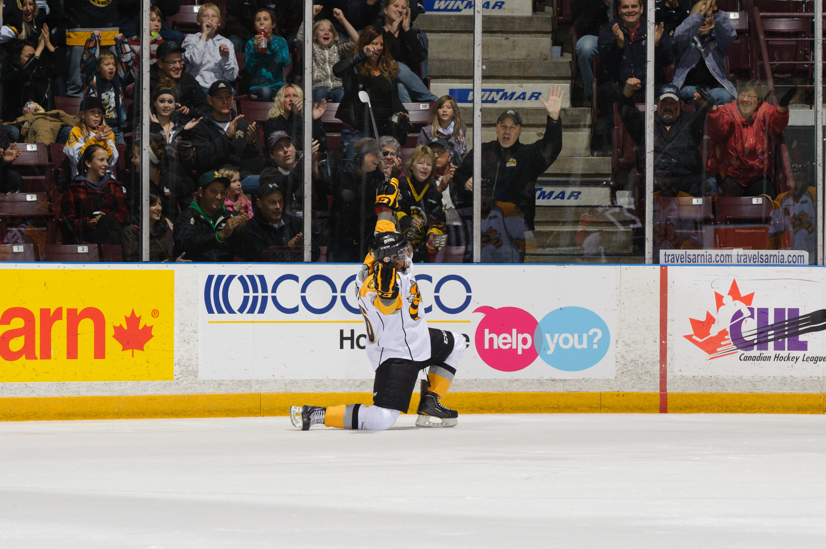 Sting Beat Ice Dogs In Overtime - Sarnia Sting