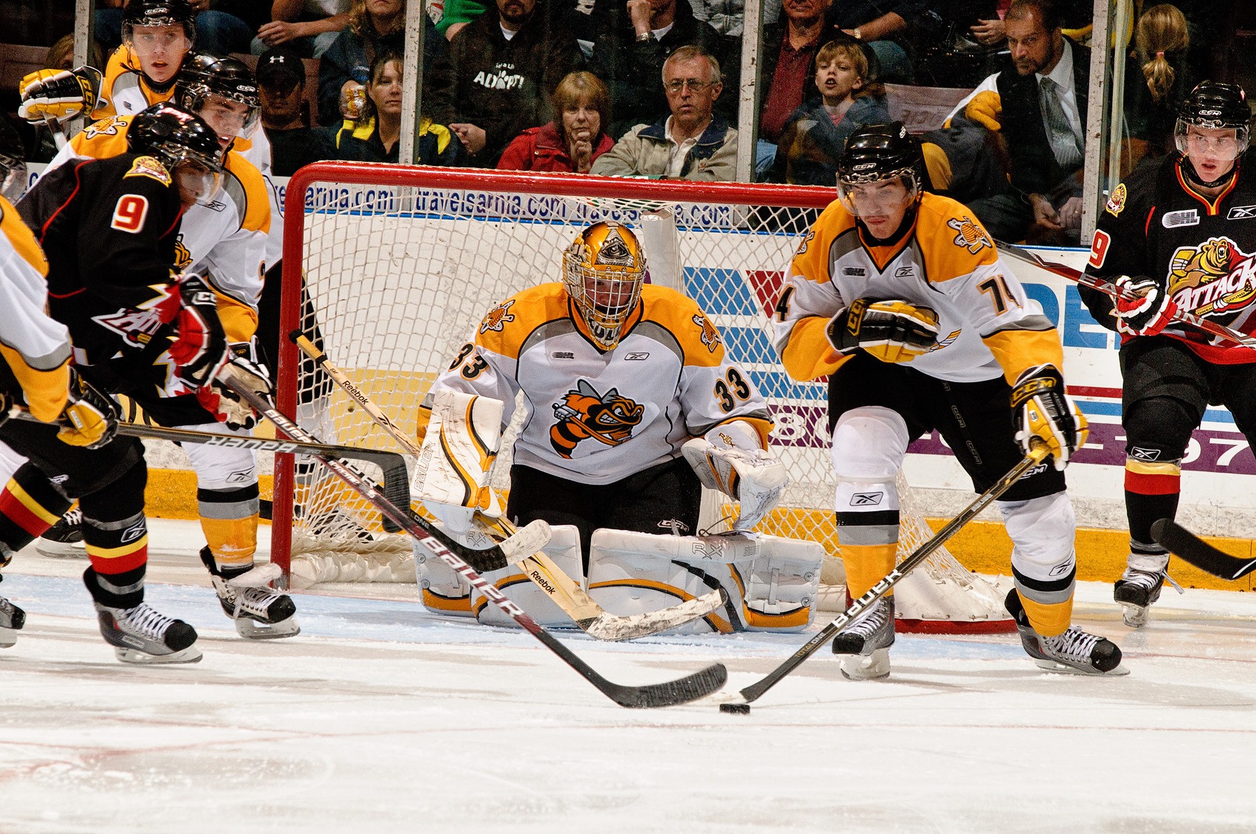 Stajcer Lifts Attack To 4-2 Win - Sarnia Sting