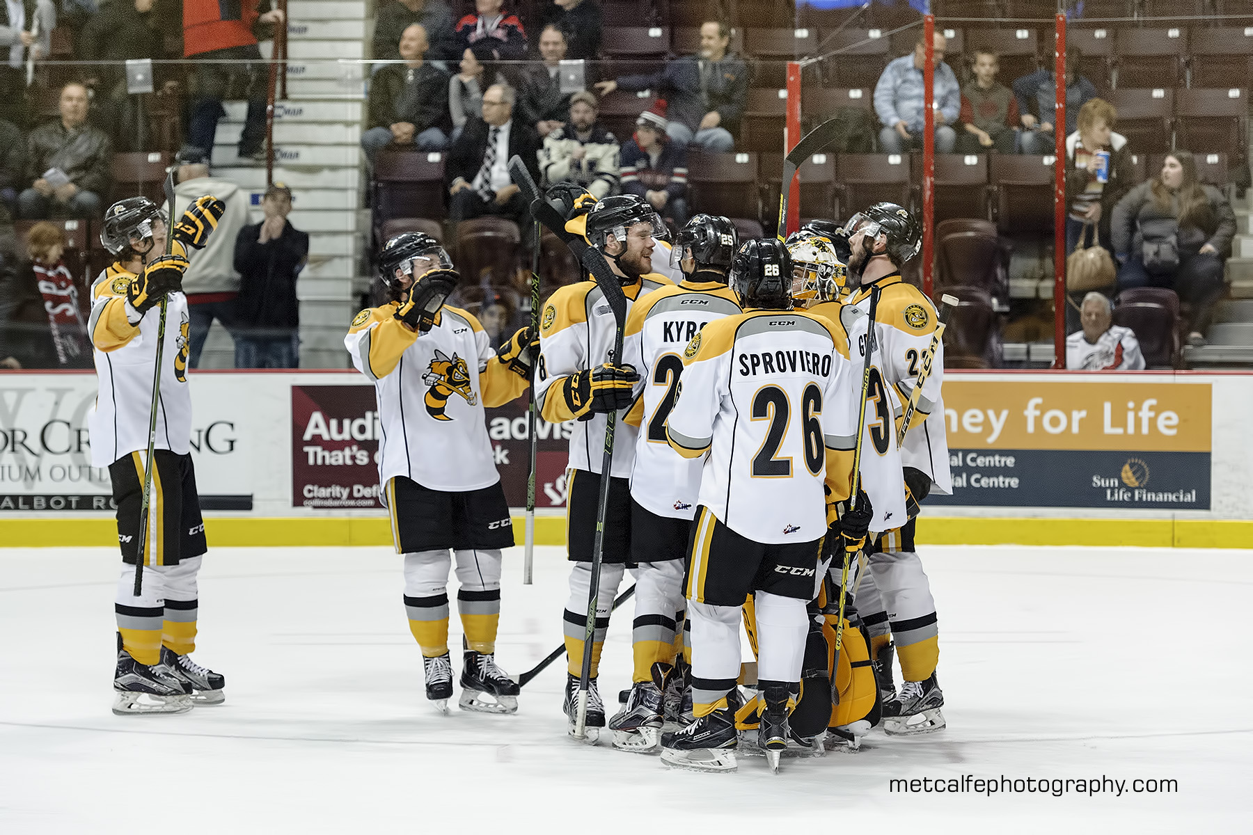 SAR 5 | WSR 1 - Sarnia Sting