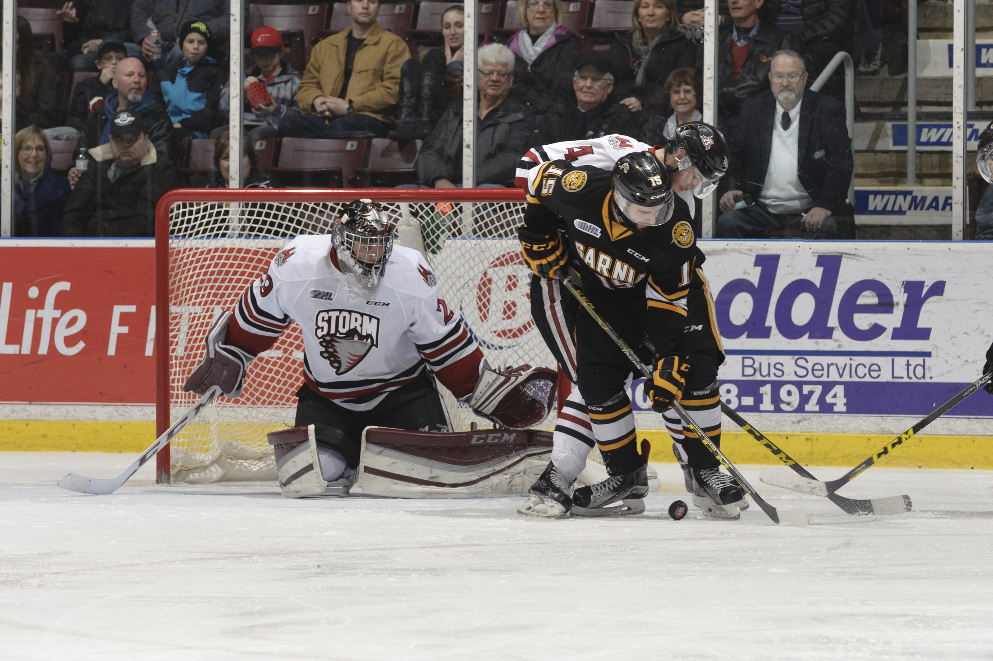 SAR 5 | GUE 2 - Sarnia Sting