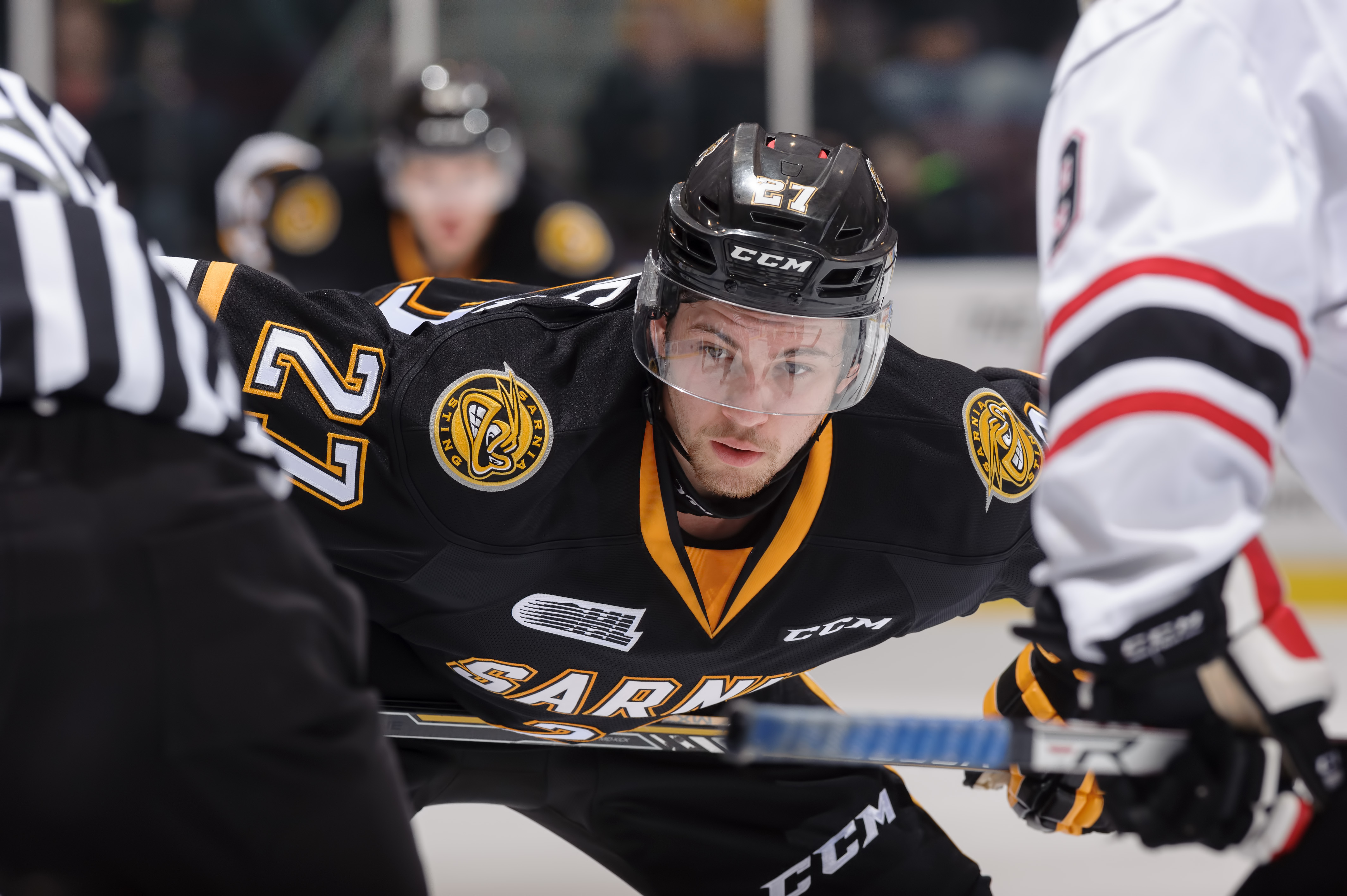 Studnicka Named Sting Captain - Sarnia Sting Studnicka Named Sting Captain - Sarnia Sting