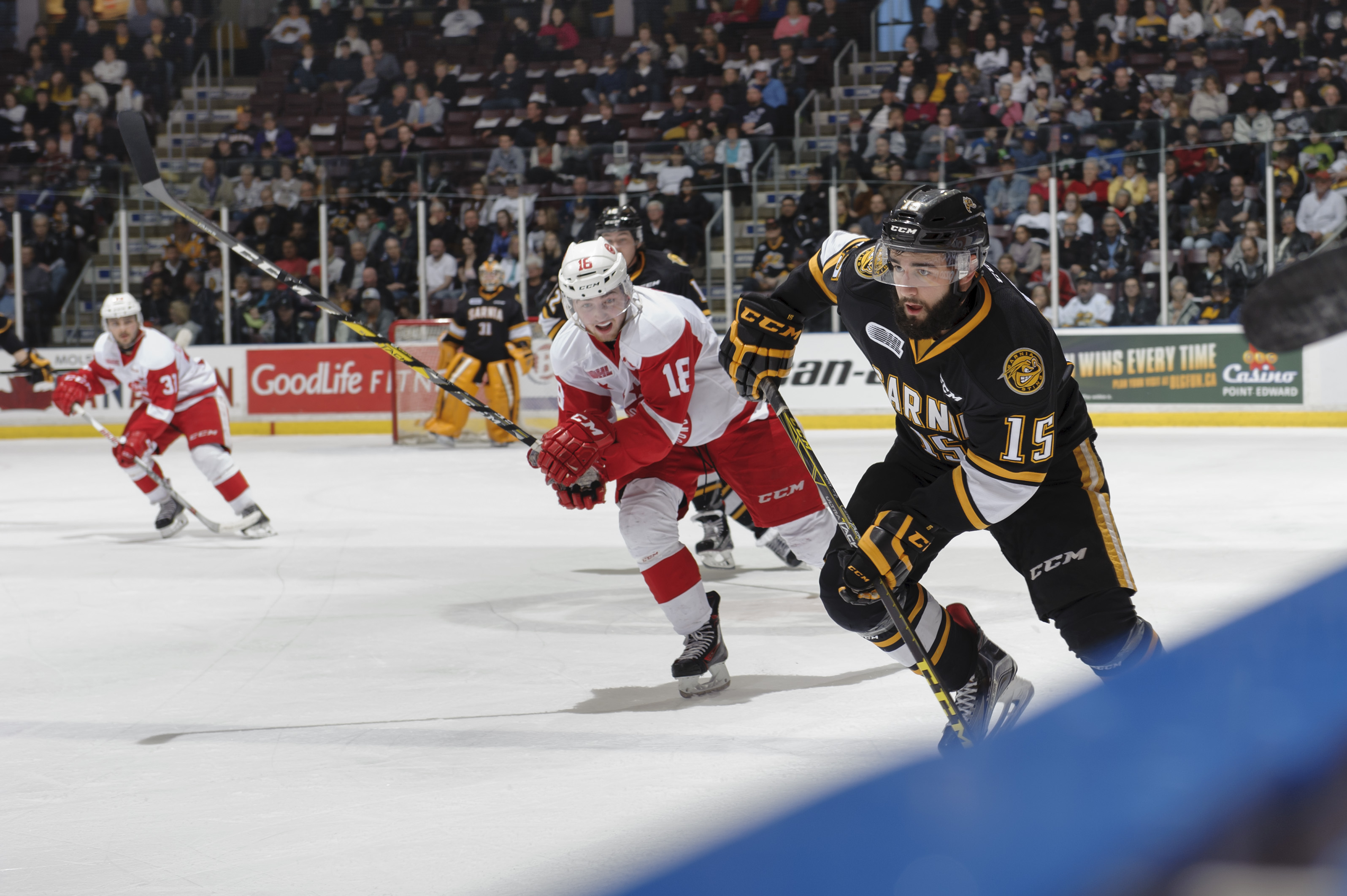 Sting Complete Deal with 67's - Sarnia Sting