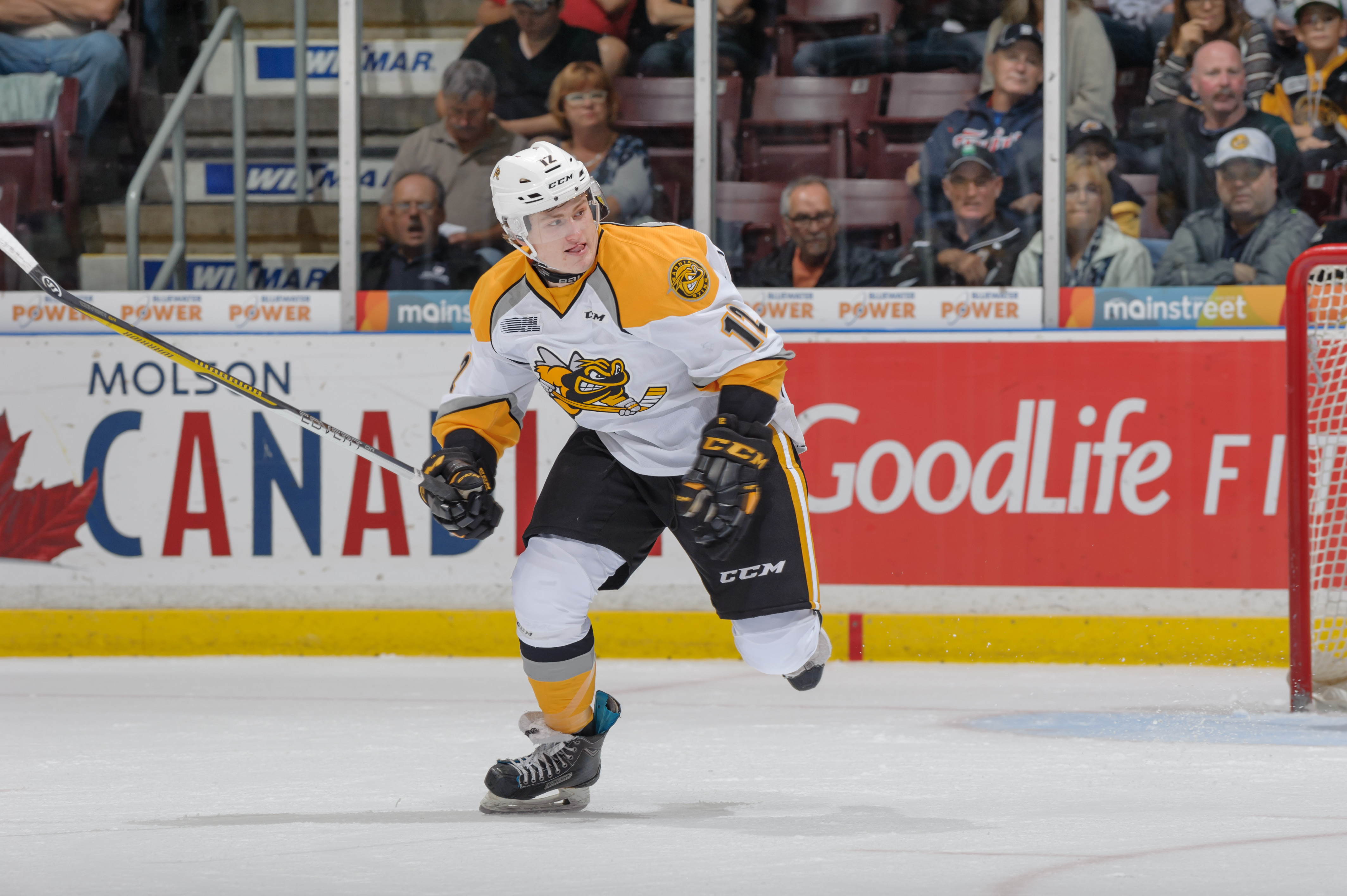 Sting Sign Jacob Stos - Sarnia Sting