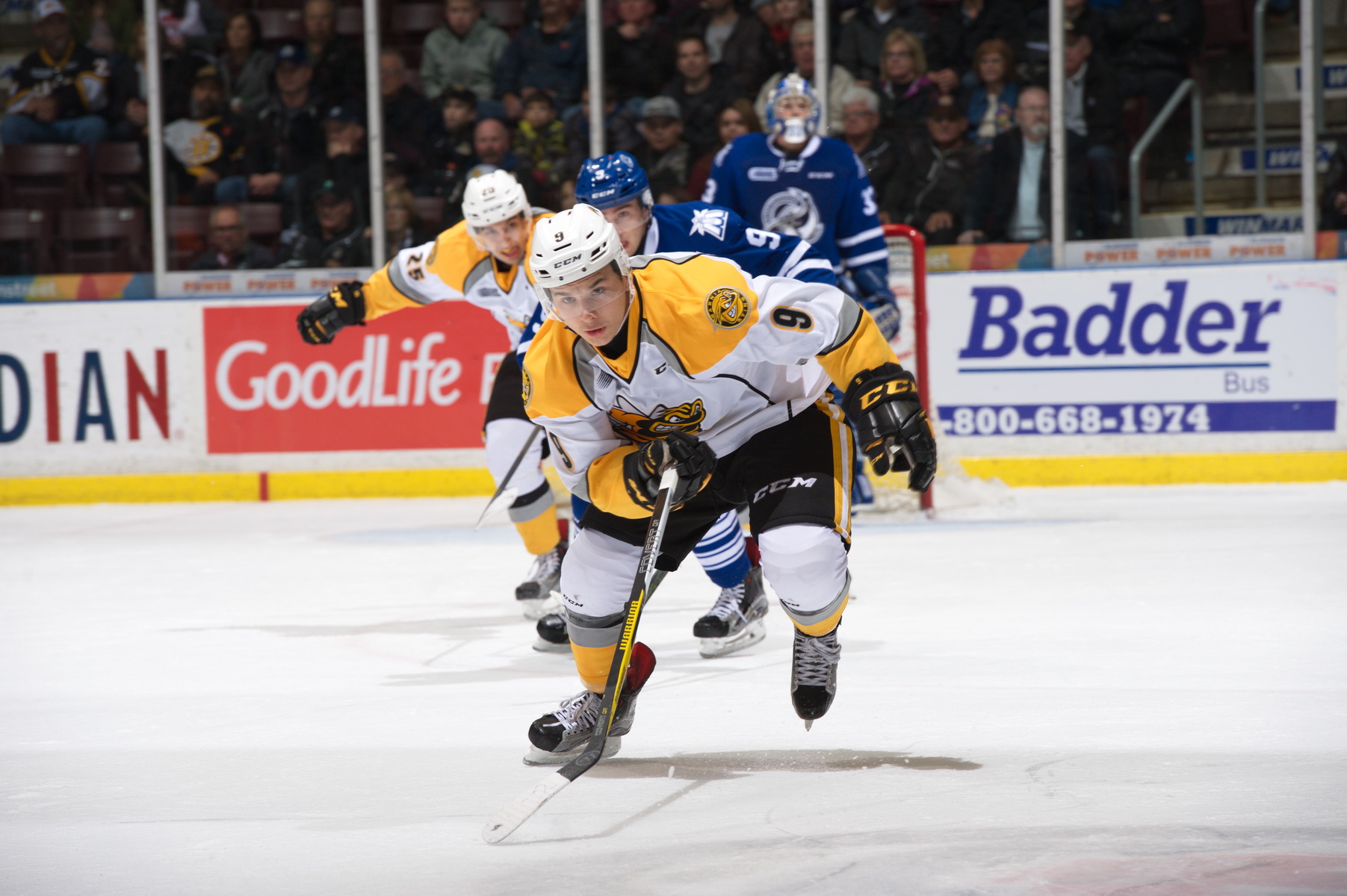 TRADE ALERT | Sting Complete Deal With Wolves - Sarnia Sting