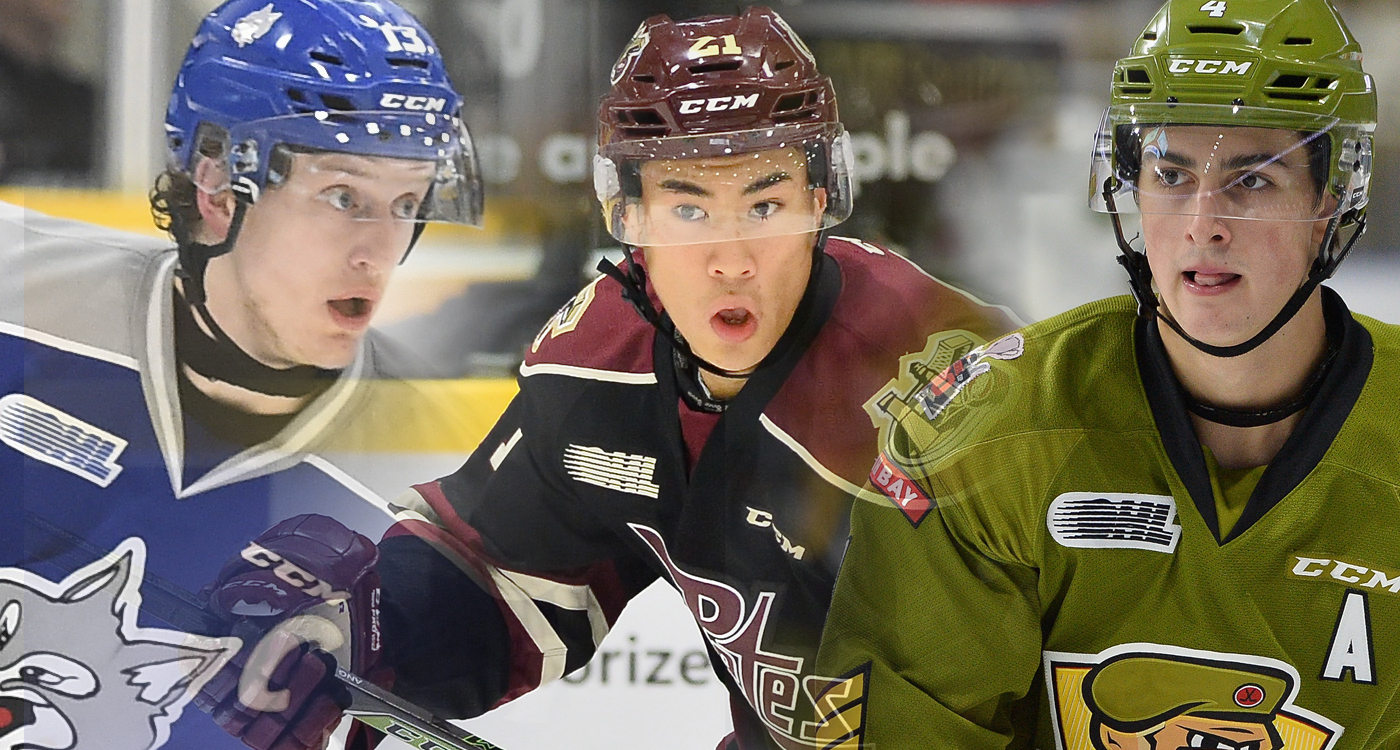 Sting Add Experience, Grit and Speed Ahead of Trade Deadline - Sarnia Sting