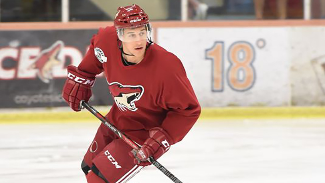 ALUMNI - Coyotes Recall Gaudet from AHL - Soo Greyhounds