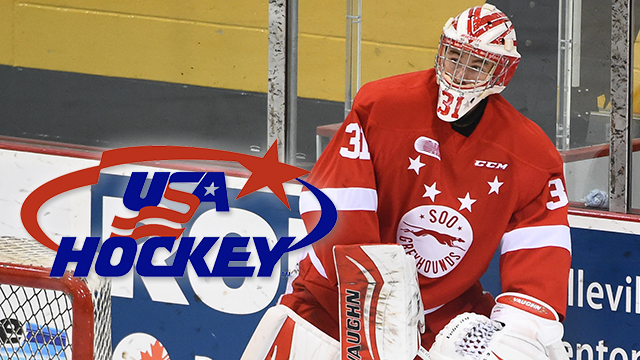 Halverson named to U.S. National Junior Team Camp Roster - Soo Greyhounds