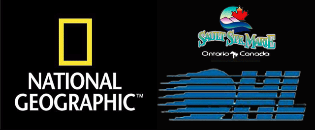 OHL ranked in Top 10 for Ontario Family Activities - Soo Greyhounds