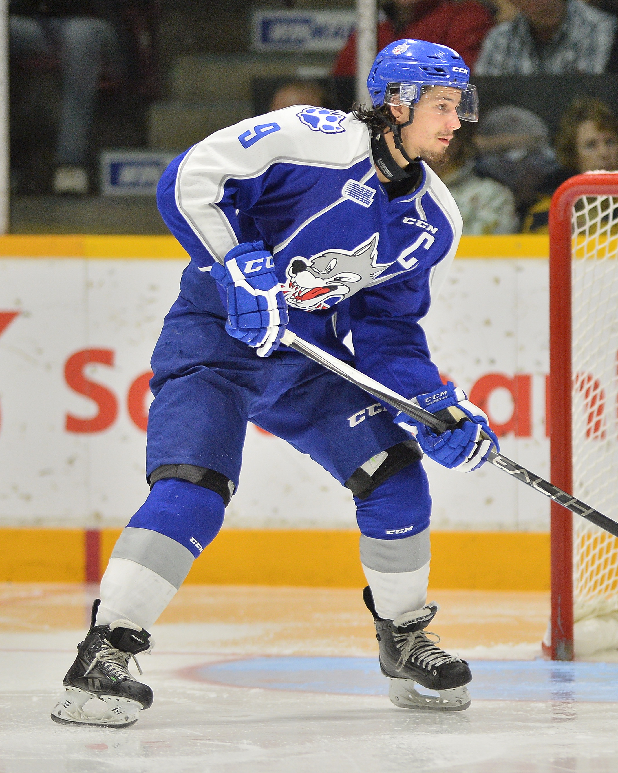 Wolves Fall Under Fire - Sudbury Wolves