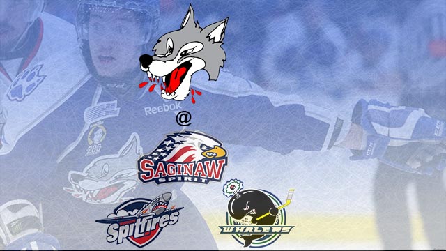Wolves Head on Southern Road Swing - Sudbury Wolves