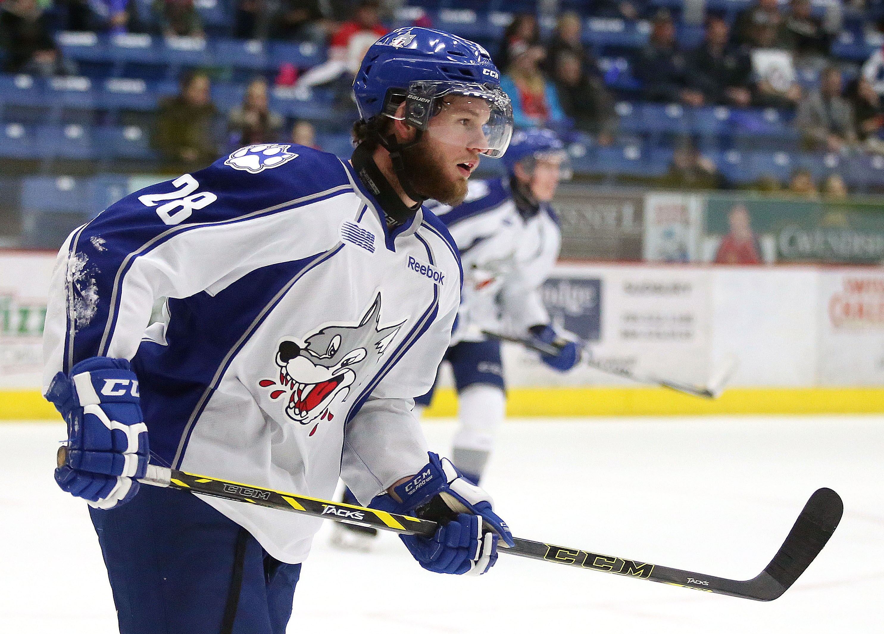 Road Loss - Sudbury Wolves
