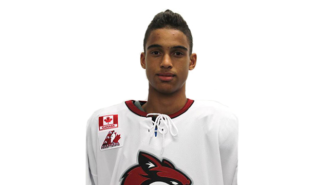 Getting to Know - Cameron Searles - Sudbury Wolves