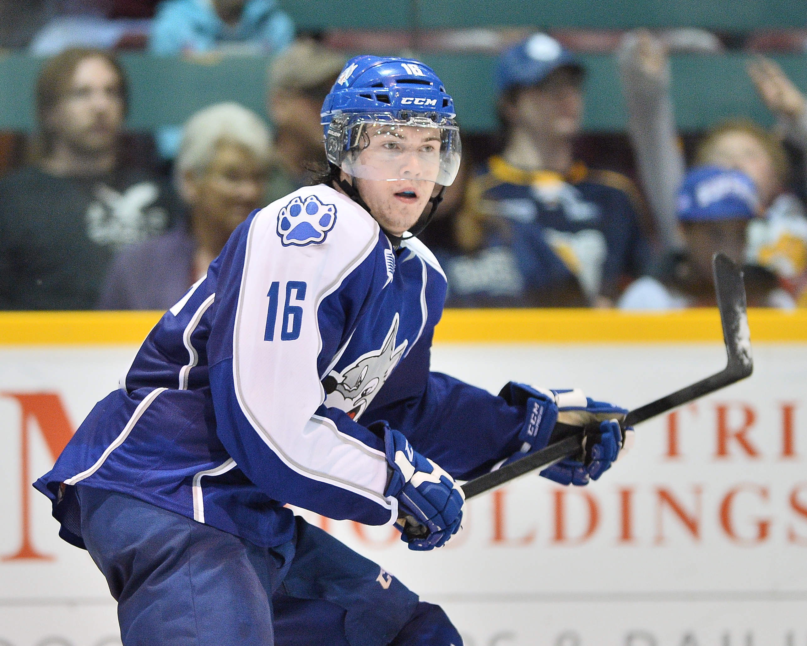 Belleville Bullies Wolves - Sudbury Wolves