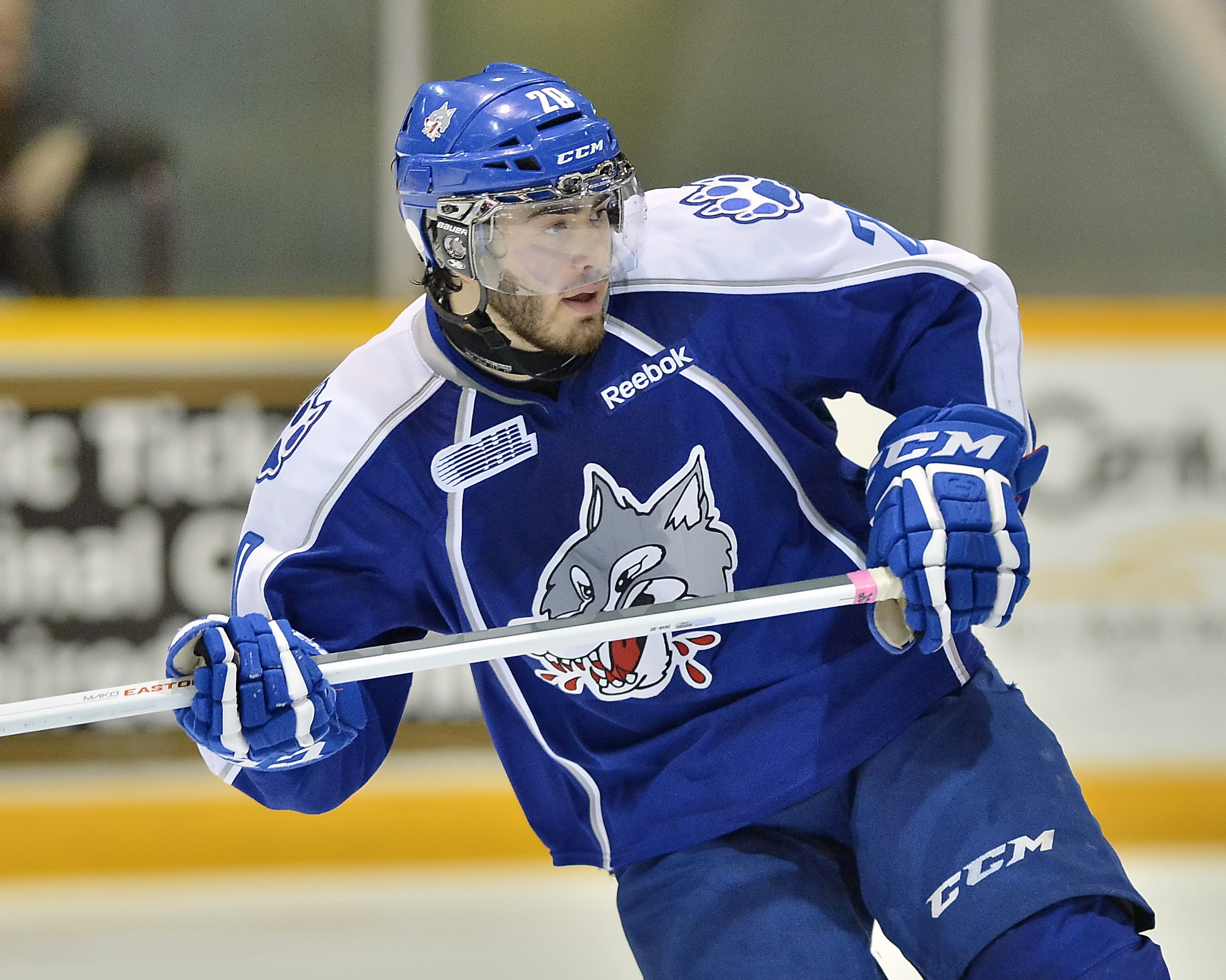Wolves Fall in 4 Games - Sudbury Wolves