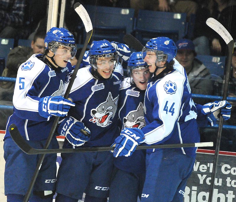 Wolves Beat the Petes - Sudbury Wolves