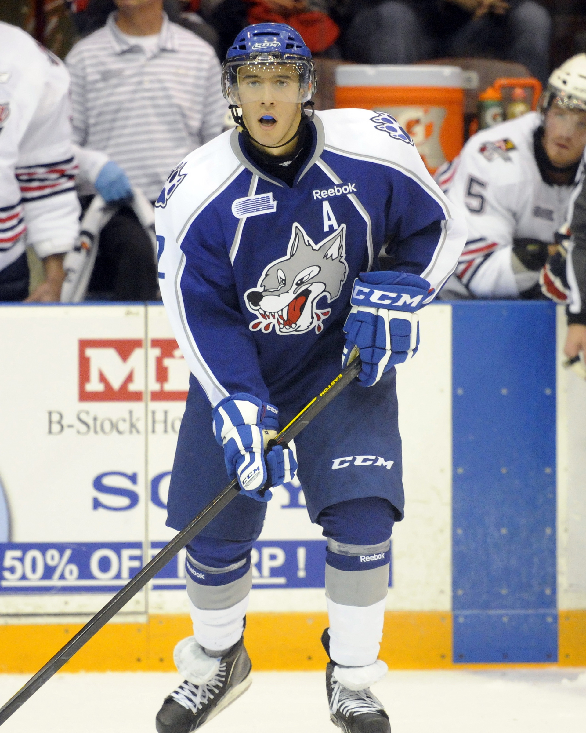 Pack pushed to the brink - Sudbury Wolves
