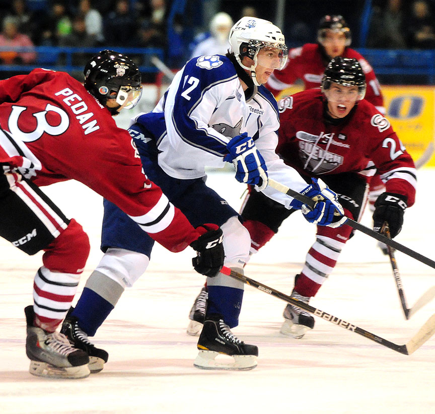 Sgarbossa Wins OHL Scoring Title - Sudbury Wolves