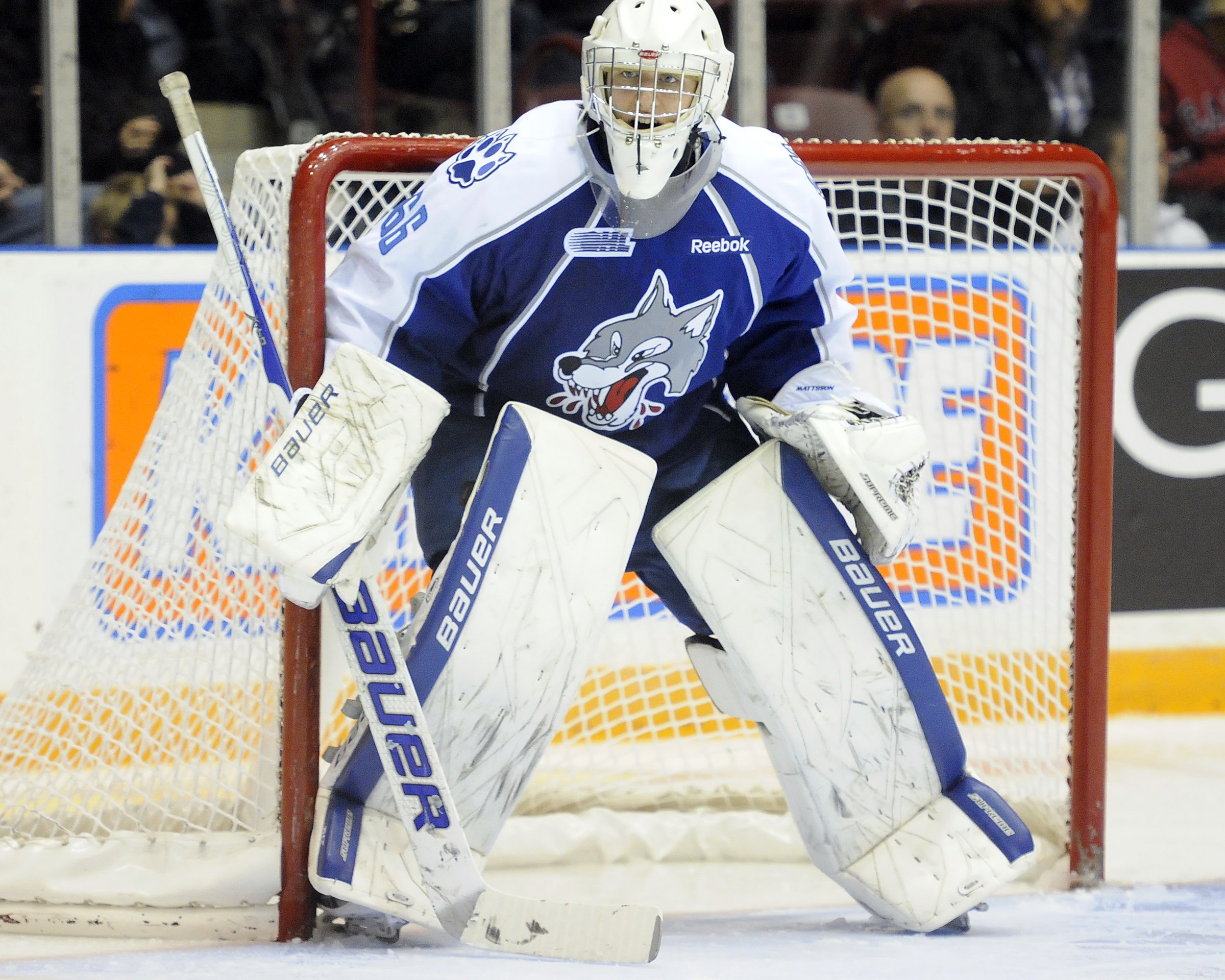 Perfect Weekend - Sudbury Wolves