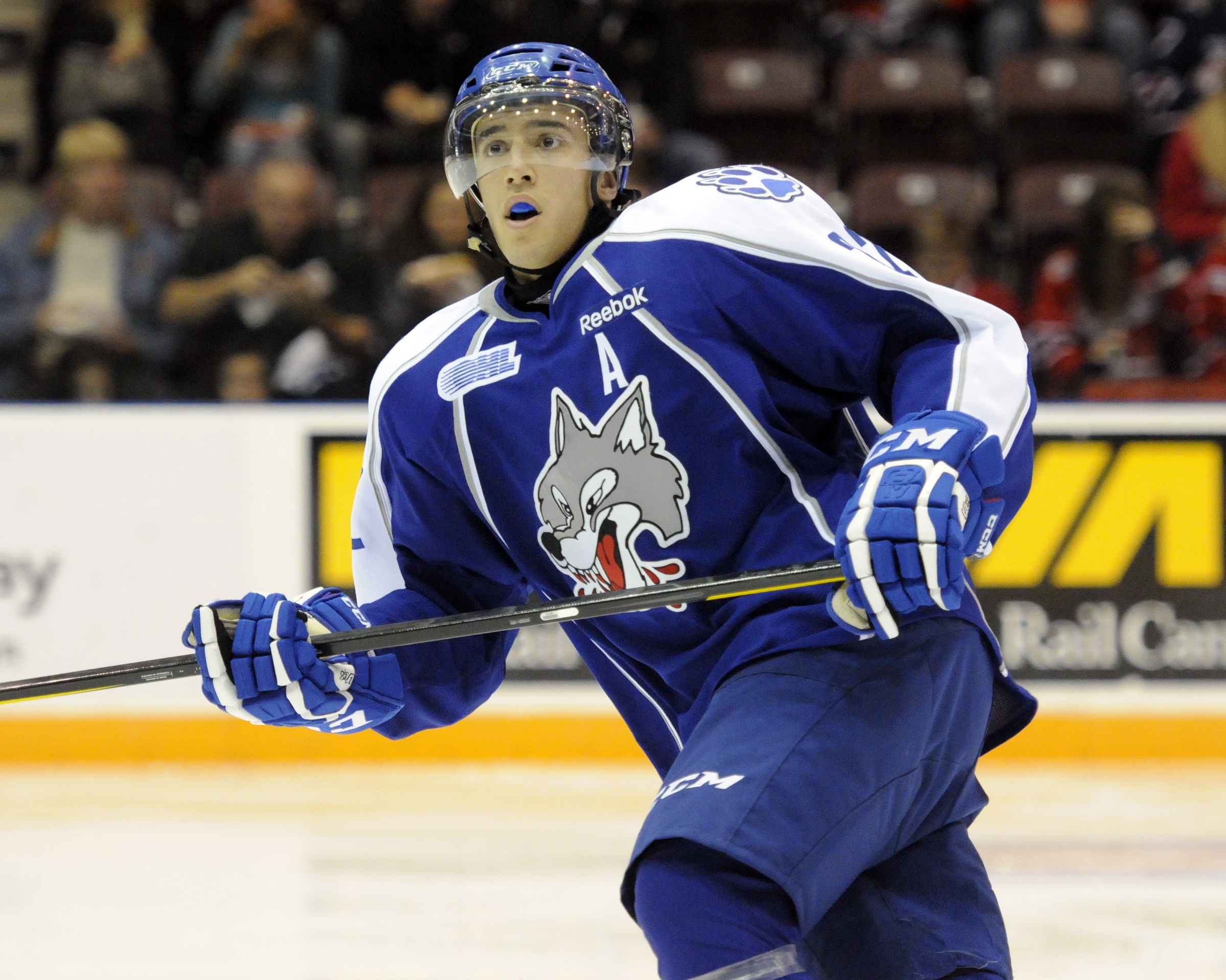 Corrado Leading on Blueline - Sudbury Wolves