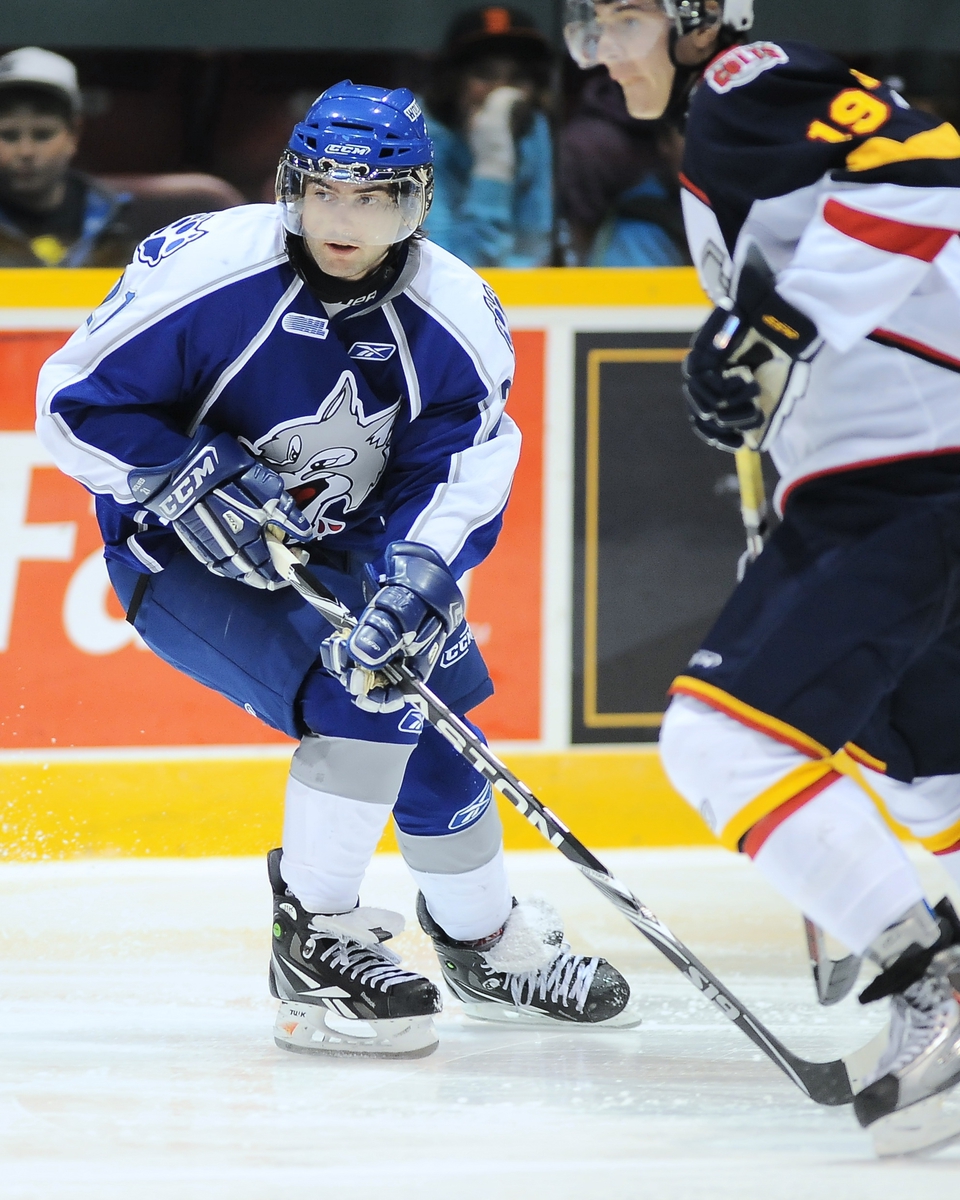Wolves 'Sting' Back - Sudbury Wolves