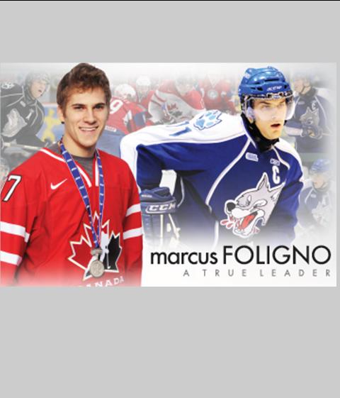 Foligno Collector Print Now Available - Sudbury Wolves