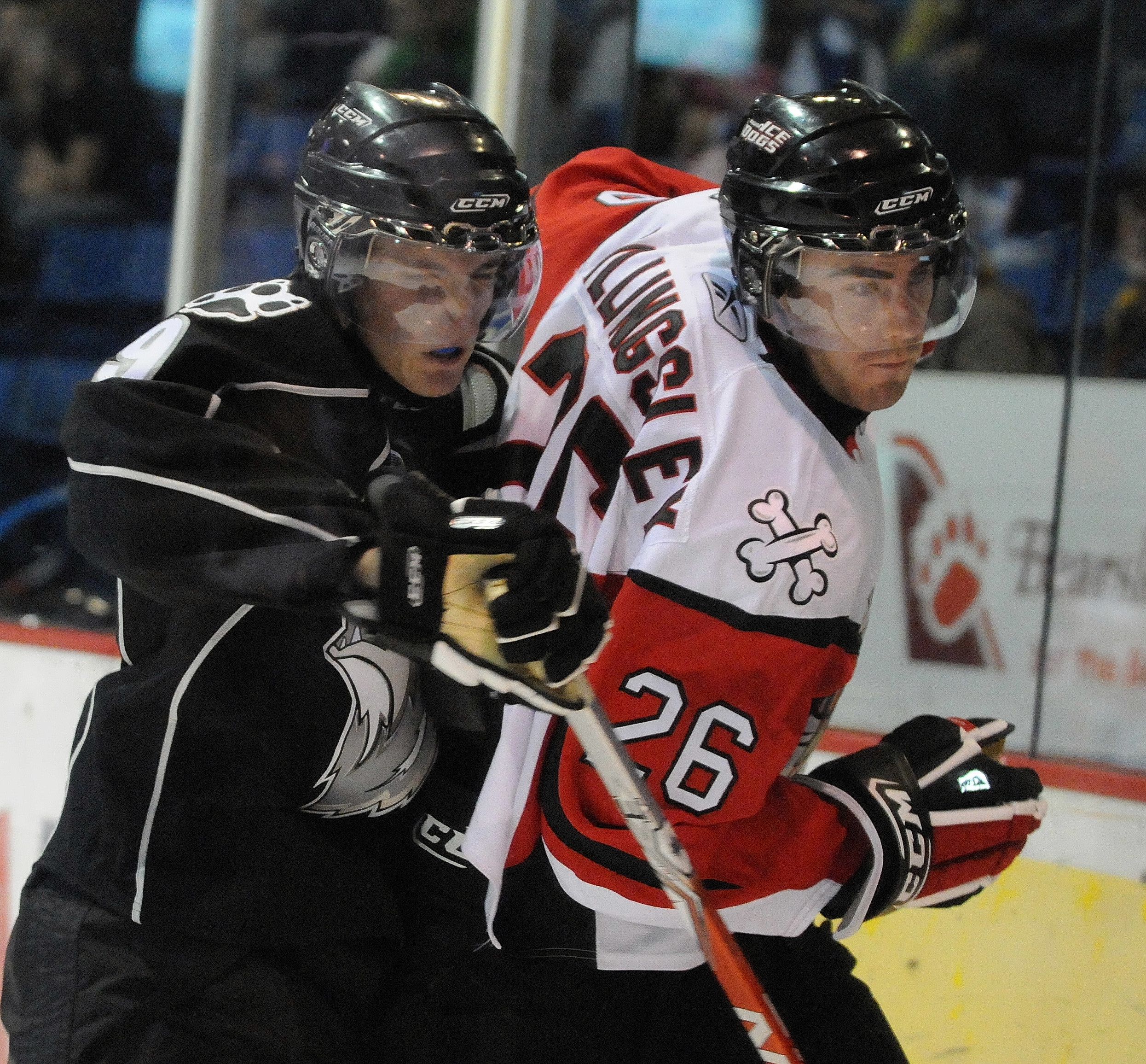 LEIVO AND WOLVES EARN POINT - Sudbury Wolves