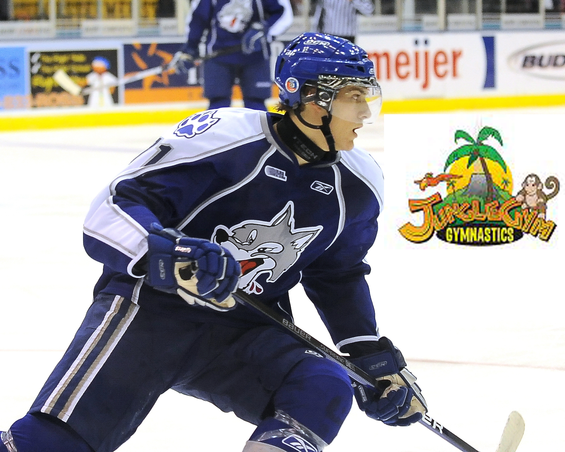 WOLVES DEFEAT WHALERS - Sudbury Wolves