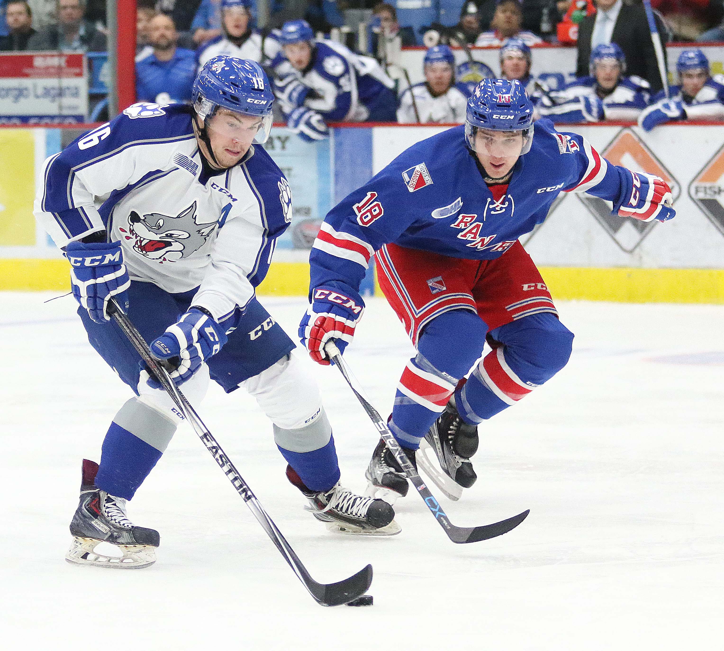 Know Your Wolves w/ Jacob Harris - Sudbury Wolves