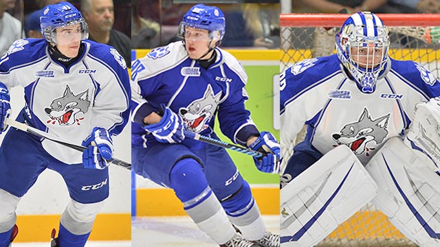 Wolves Make NHL List - Sudbury Wolves