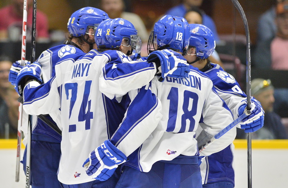 2016-17 Season Ticket Update - Sudbury Wolves