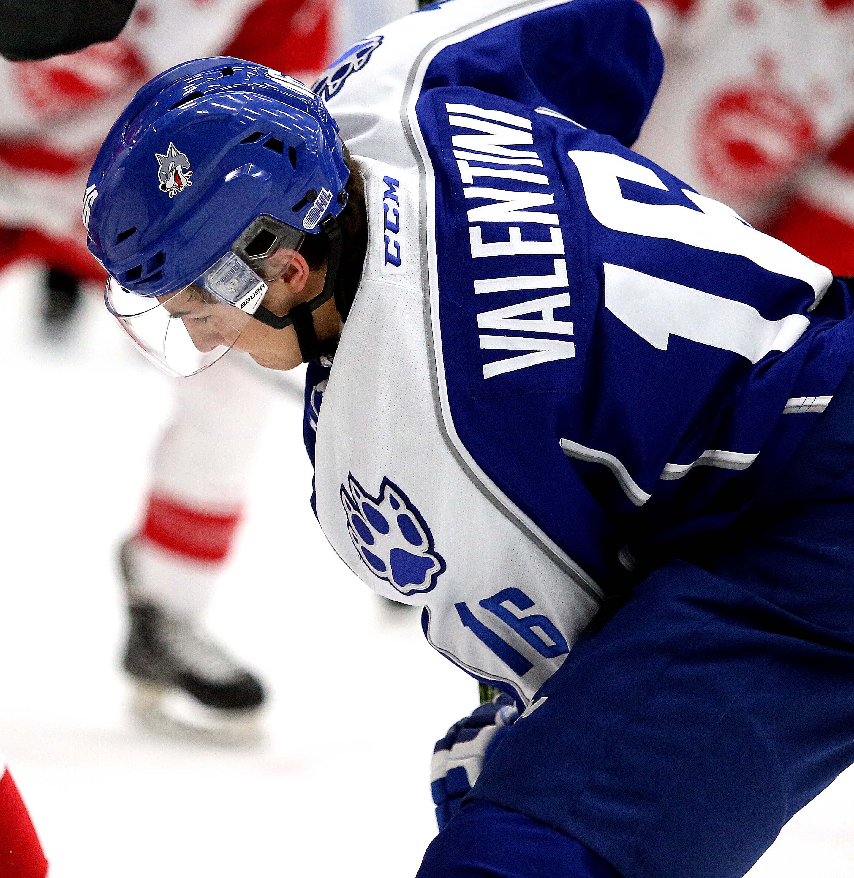 Wolves Drop Match to Petes - Sudbury Wolves