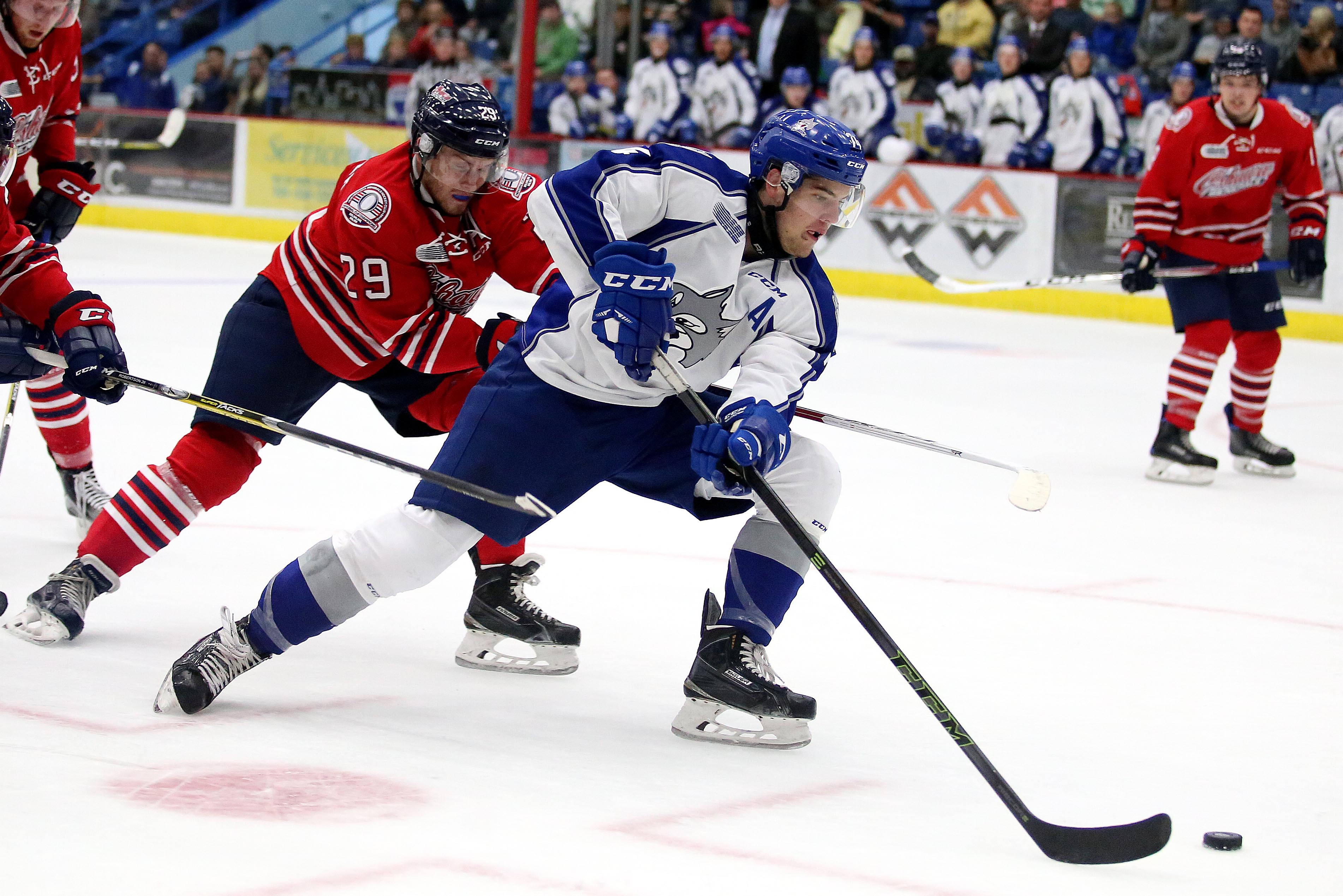 Wolves Host Colts & Rangers in Double-Header Action - Sudbury Wolves
