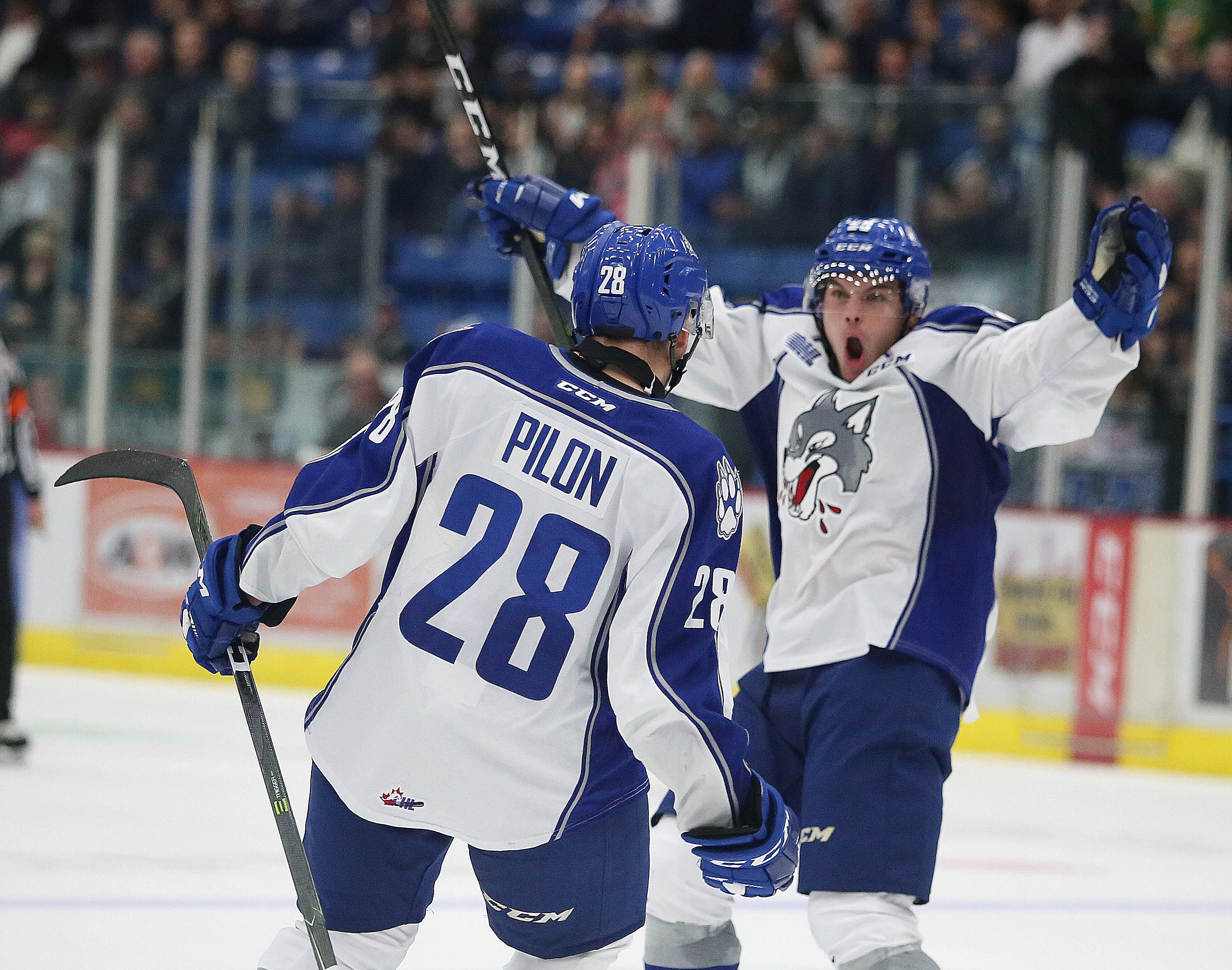 Wolves Winning At Home - Sudbury Wolves