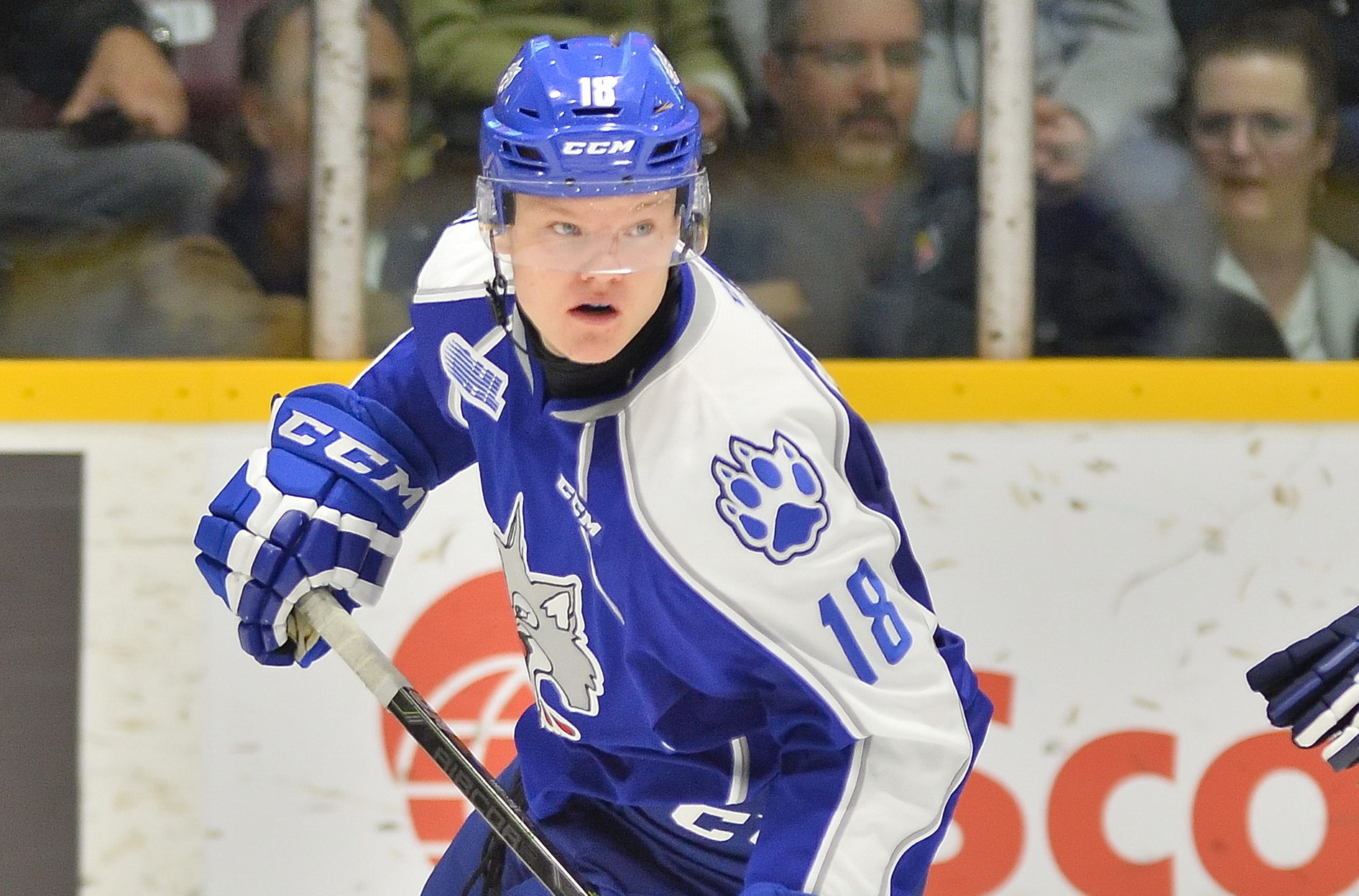 Spirit Overtake Wolves - Sudbury Wolves