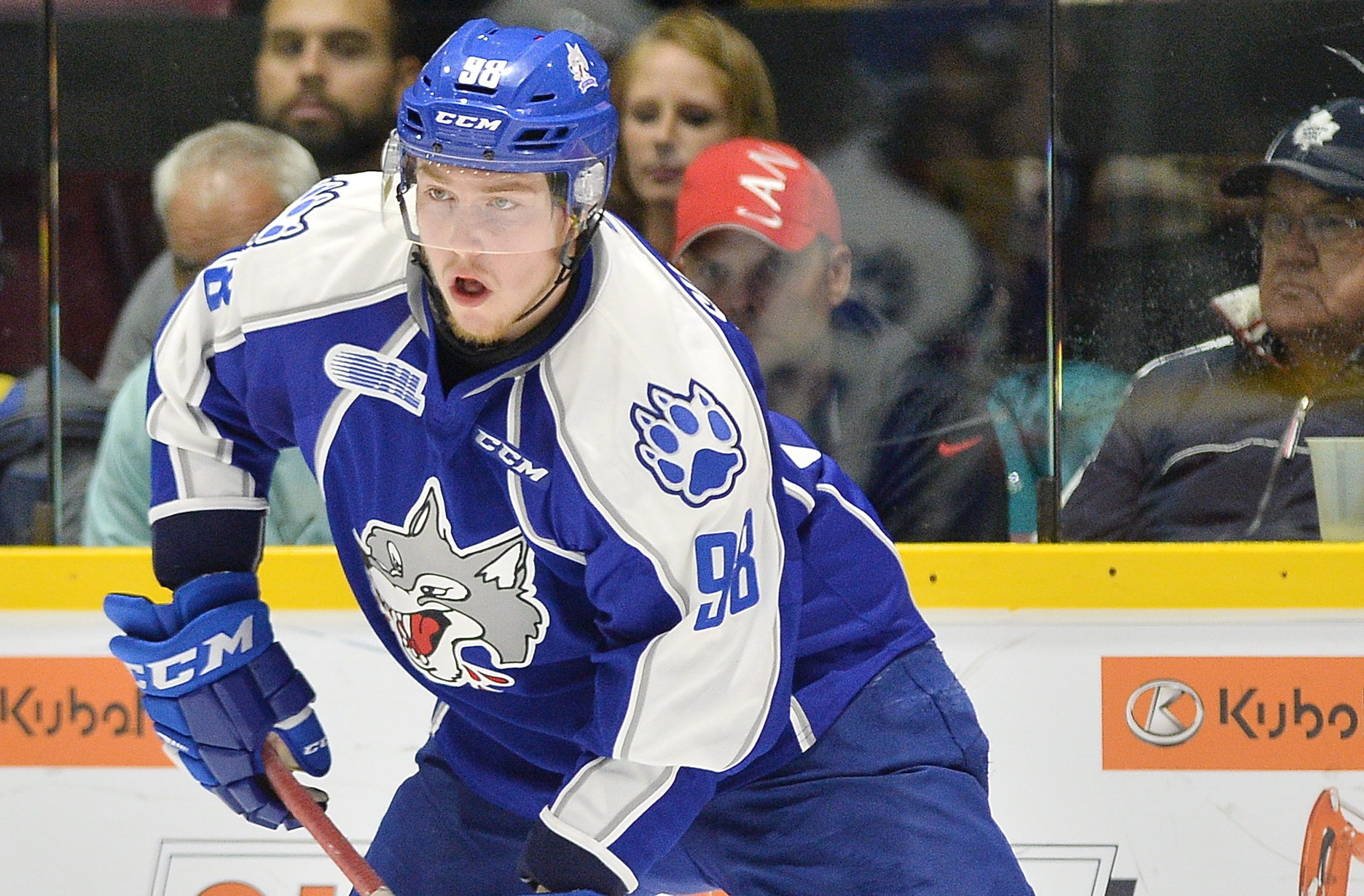 Wolves Fall in Close Match-up to IceDogs - Sudbury Wolves