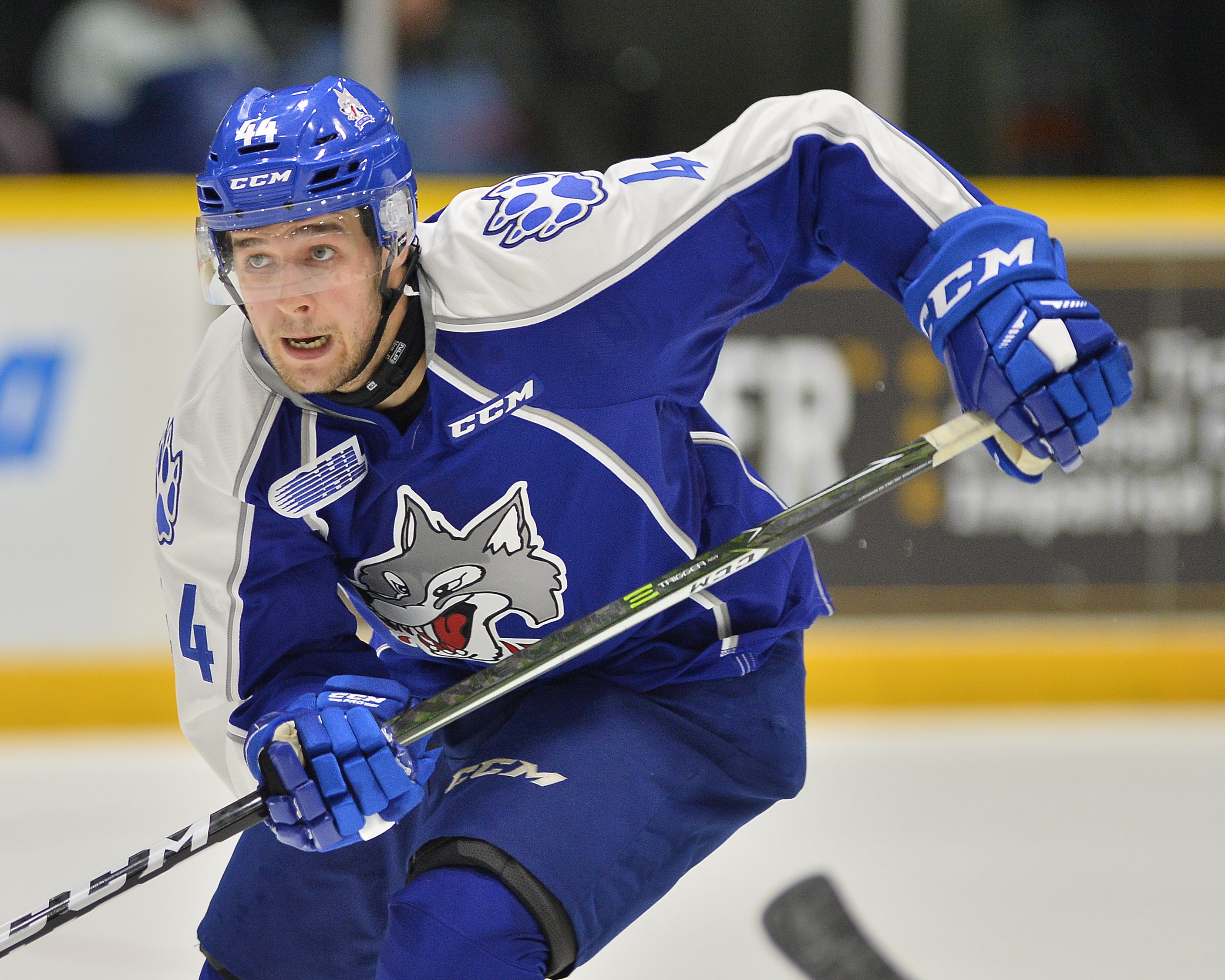 Wolves Drop OT Match To Petes - Sudbury Wolves