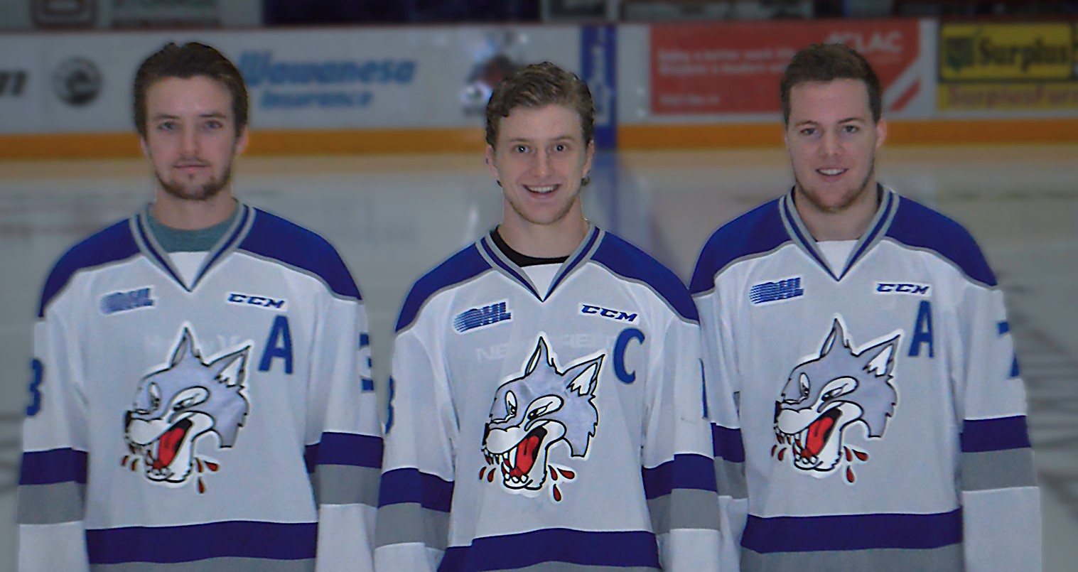 Wolves Announce Captains - Sudbury Wolves