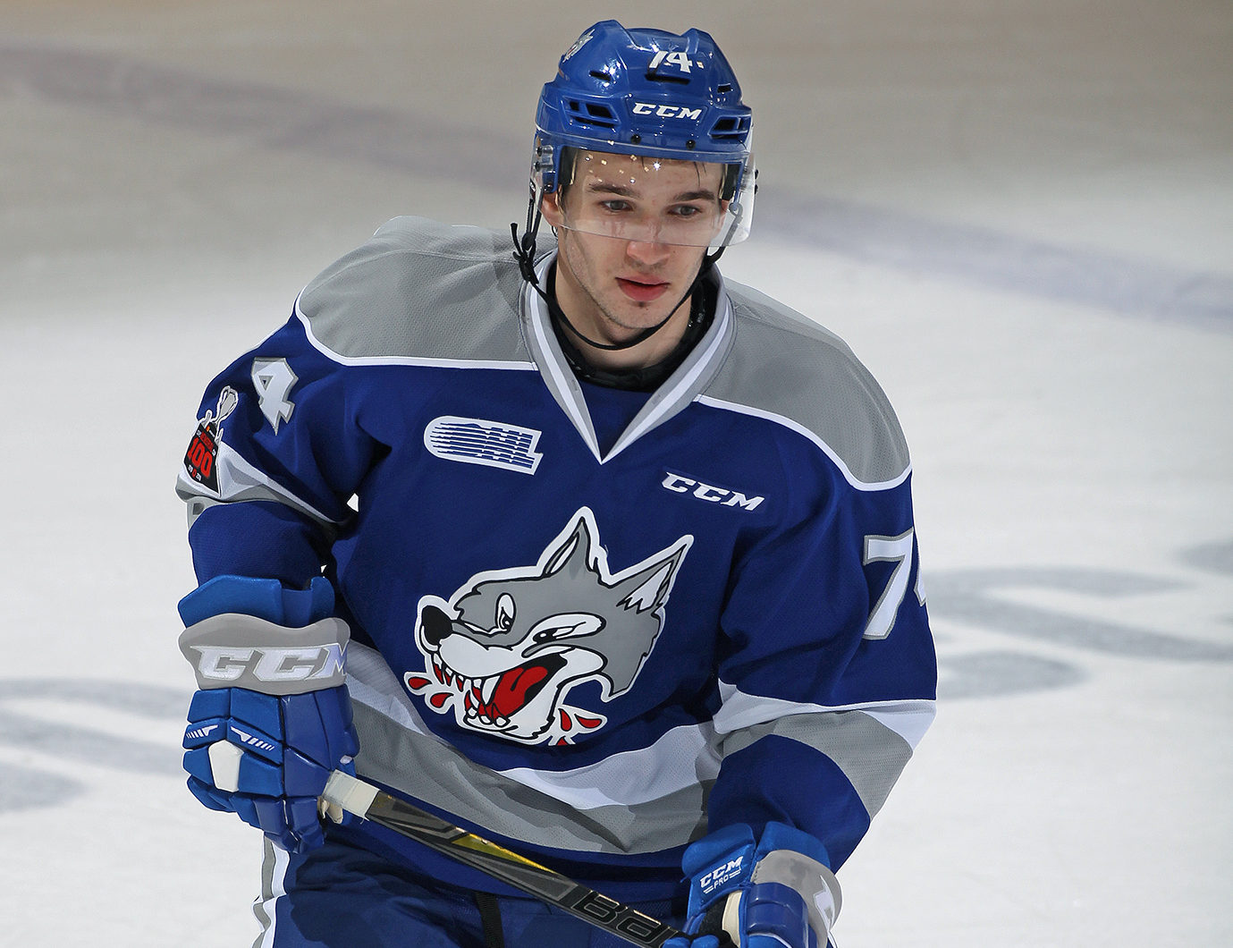 Wolves Fall to Steelheads - Sudbury Wolves
